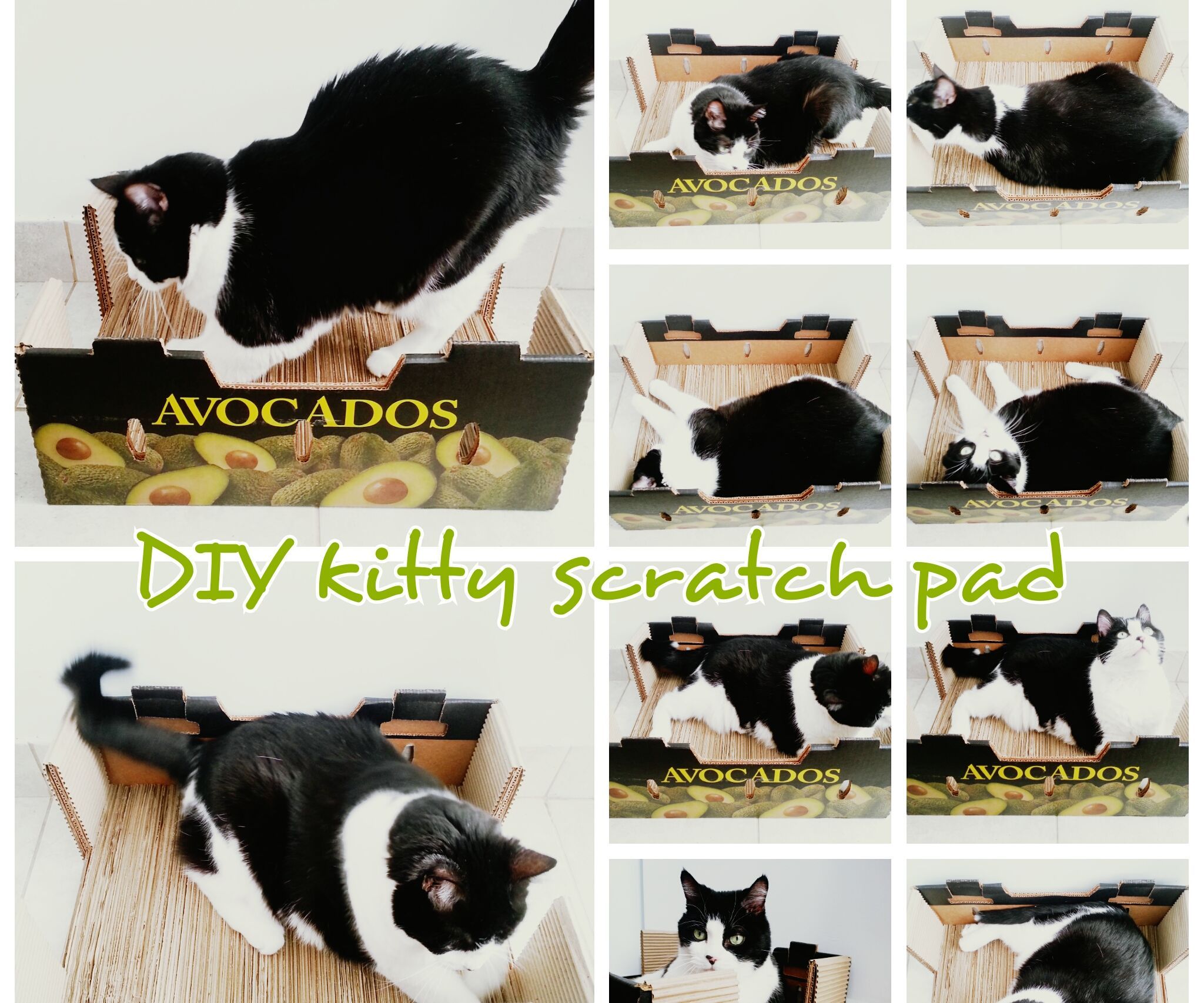 DIY Cardboard Cat Scratch Pad Upcycled Produce Box : 10 Steps (with ...
