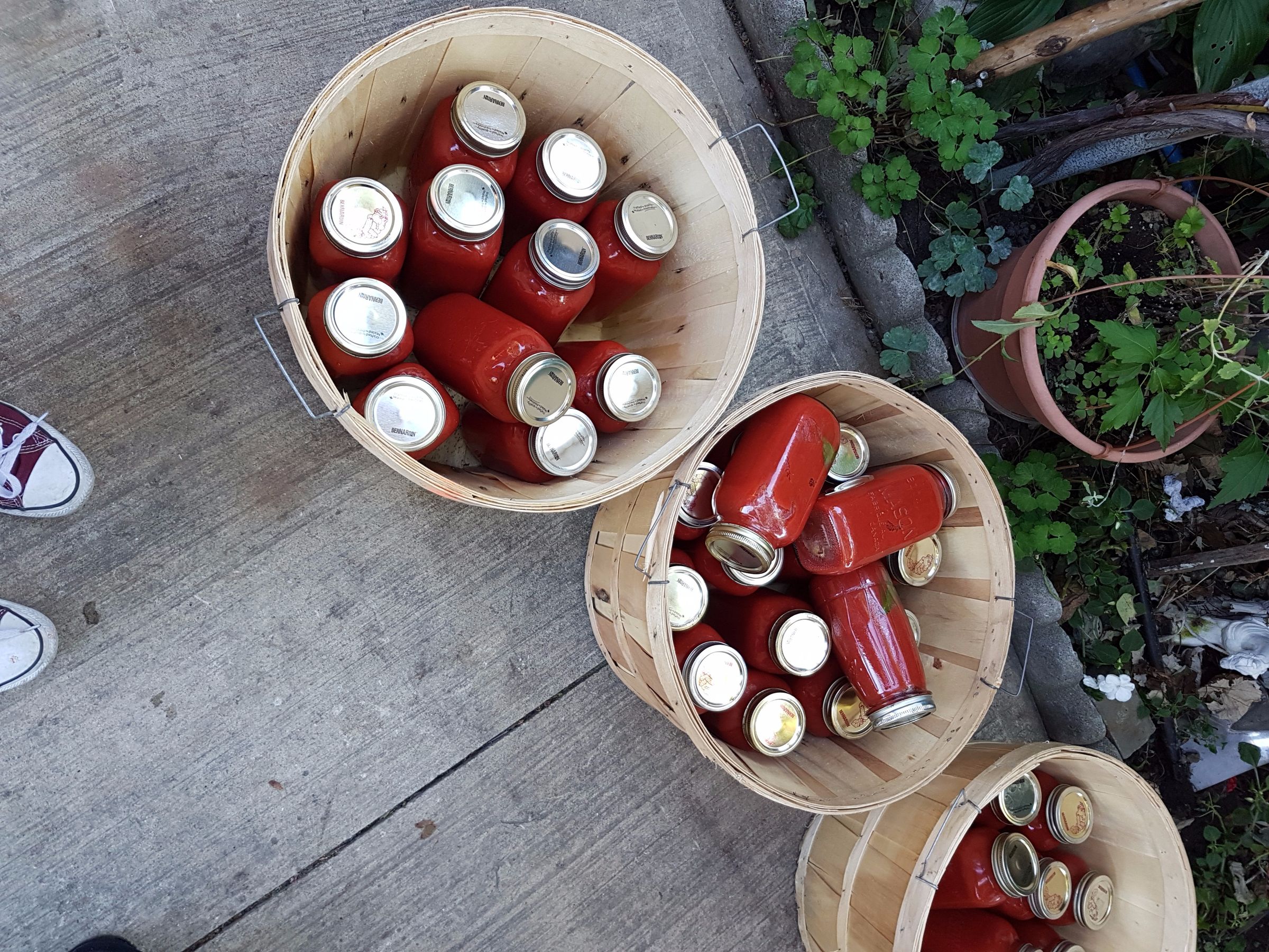 Large Batch Tomato Jars : 7 Steps (with Pictures) - Instructables