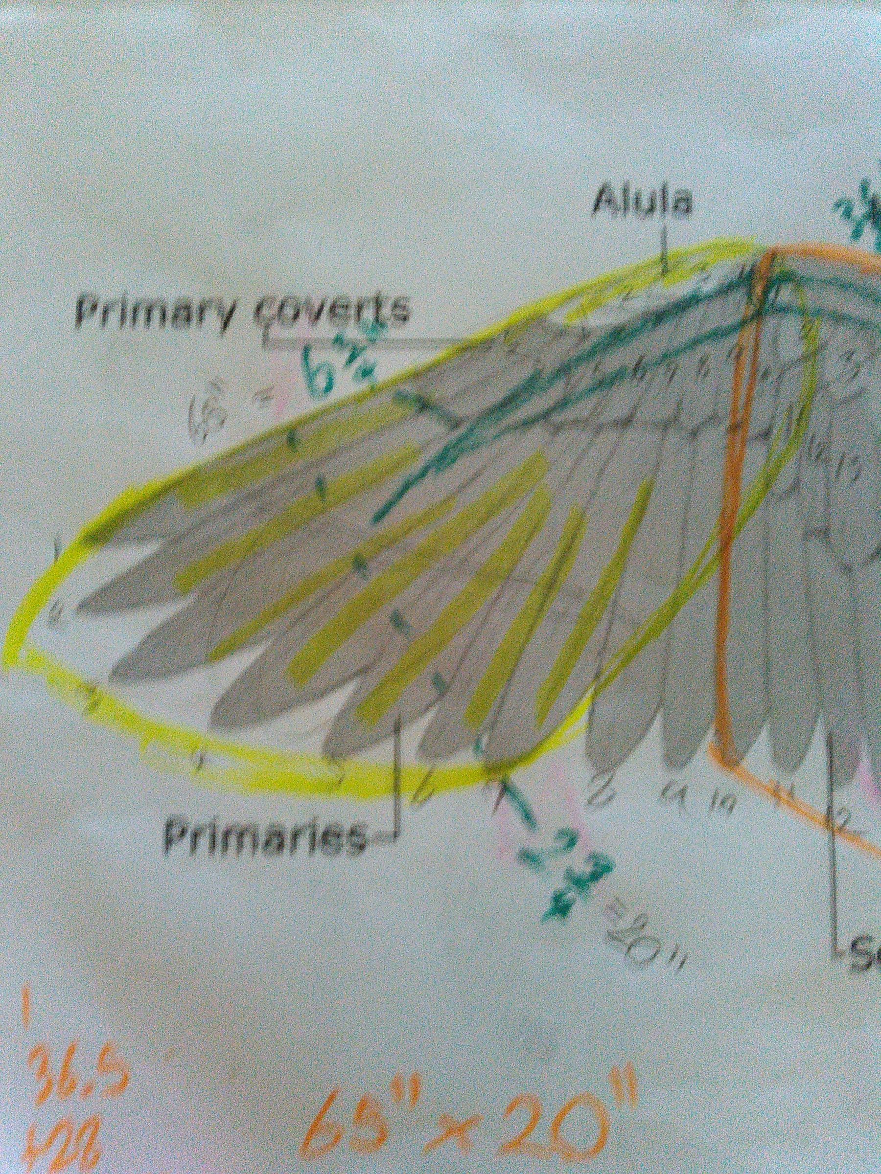 Designing an Articulated Wing Harness : 8 Steps - Instructables