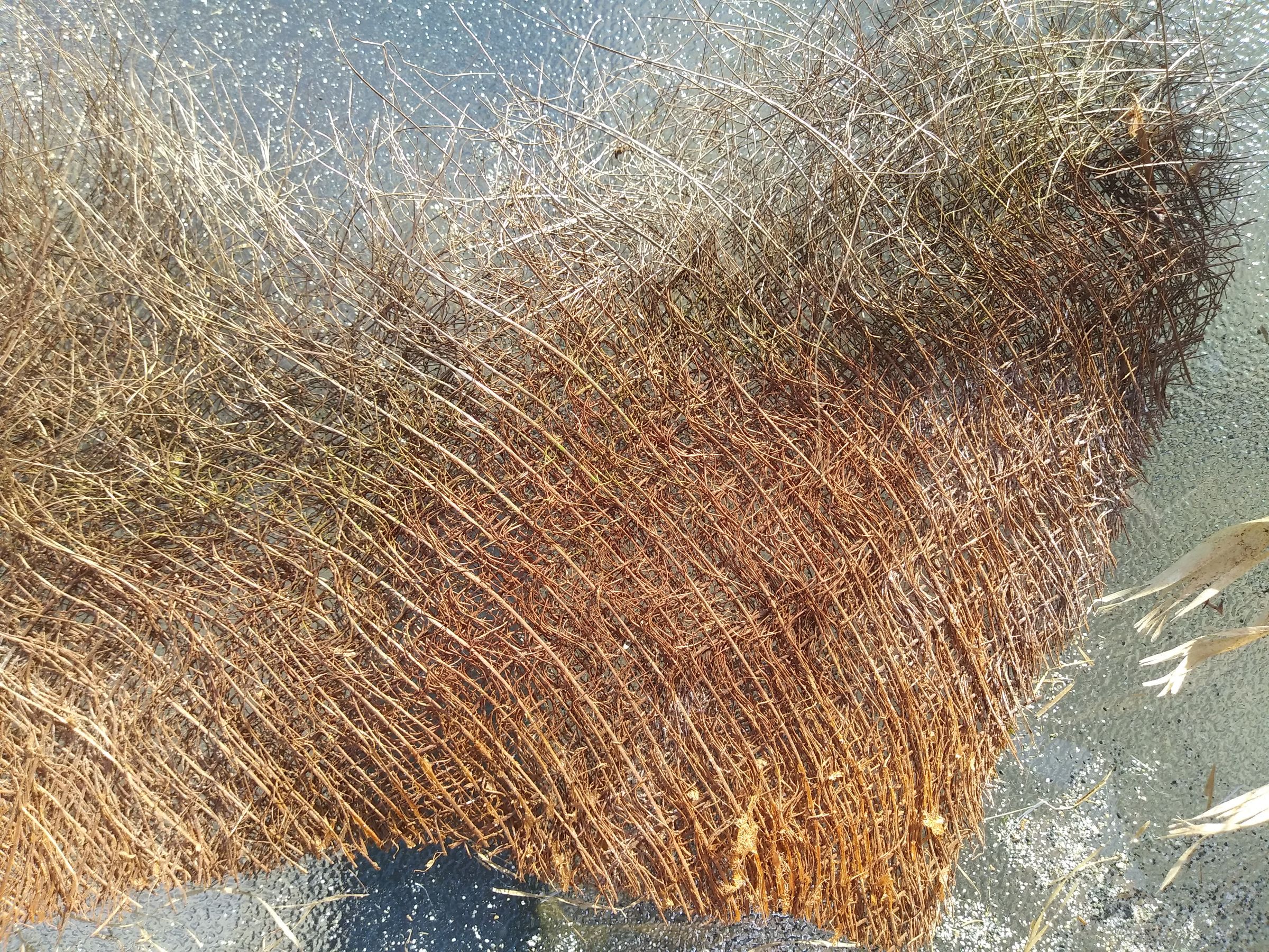 Weaving With Nature : 8 Steps (with Pictures) - Instructables