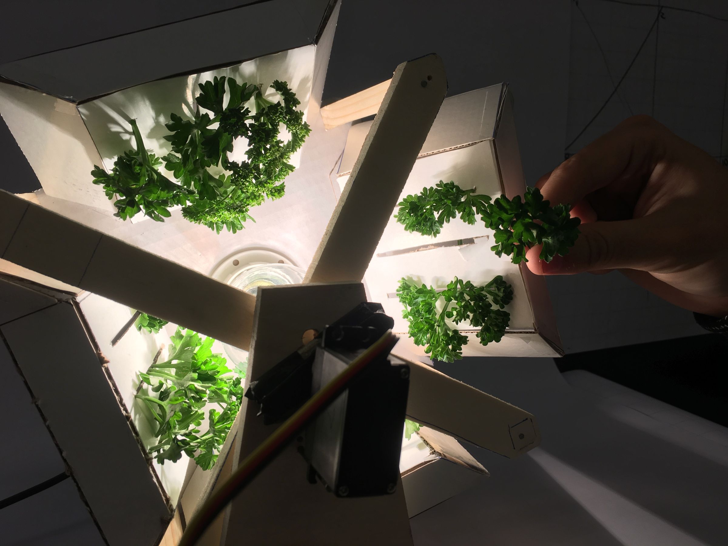 DIY Rotary Garden (TfCD) : 12 Steps (with Pictures) - Instructables