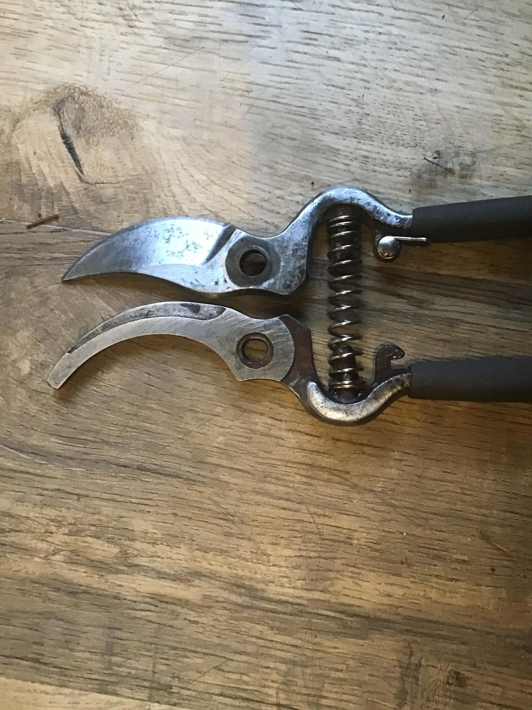 How to Remove Rust From Garden Tools!!! : 5 Steps - Instructables