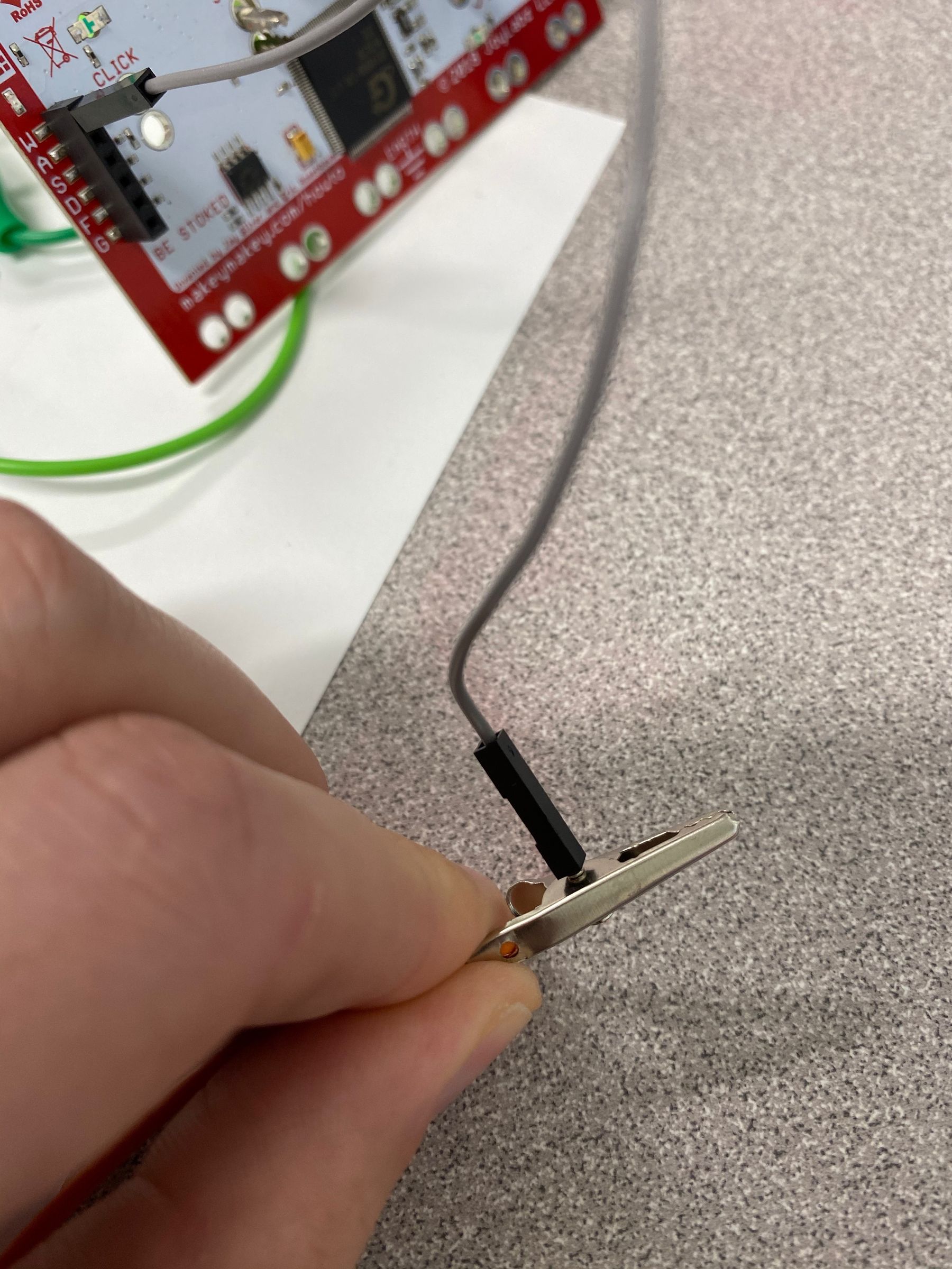 Plant Cell Operation With Makey Makey : 5 Steps (with Pictures ...