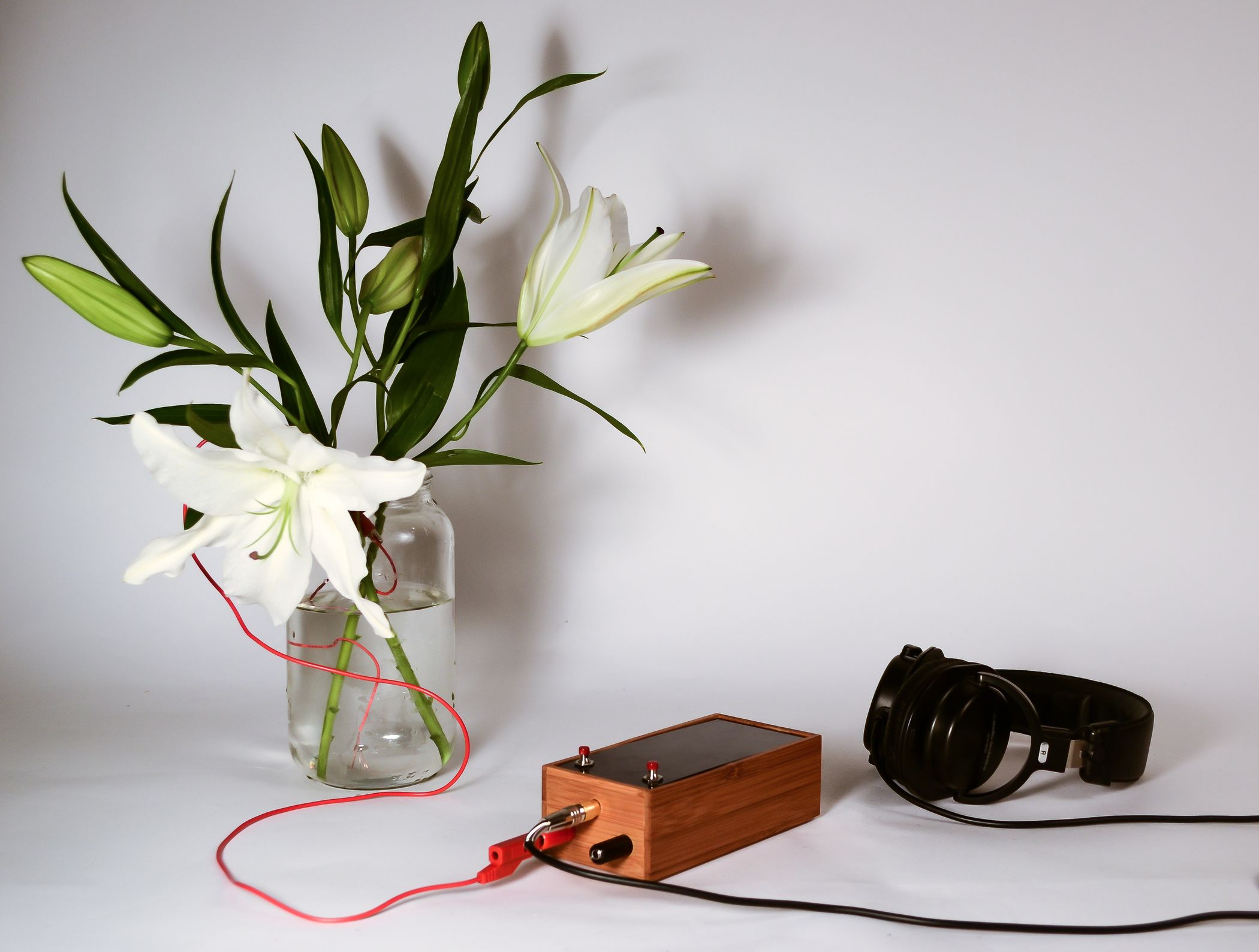 Singing Plant. Make Your Plant Sing With Arduino, Touche and a ...