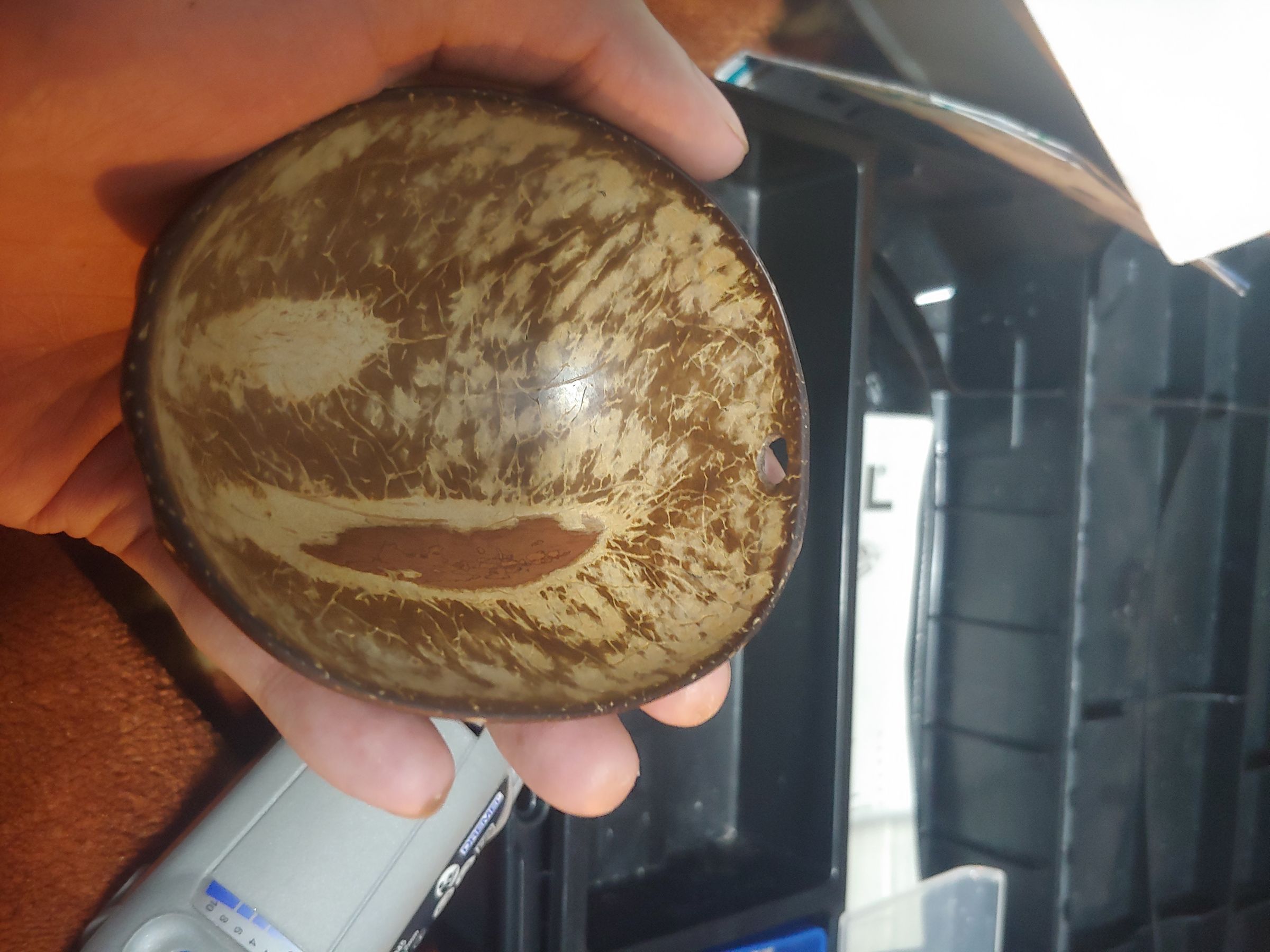 Making a Coconut Bowl (Super Easy Way) : 8 Steps (with Pictures ...