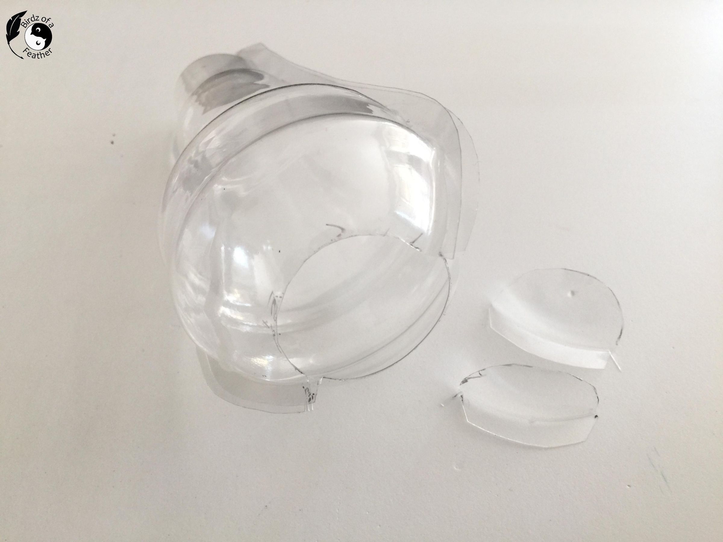 How to Make a Lightbulb Planter From Plastic Packaging! : 9 Steps (with ...