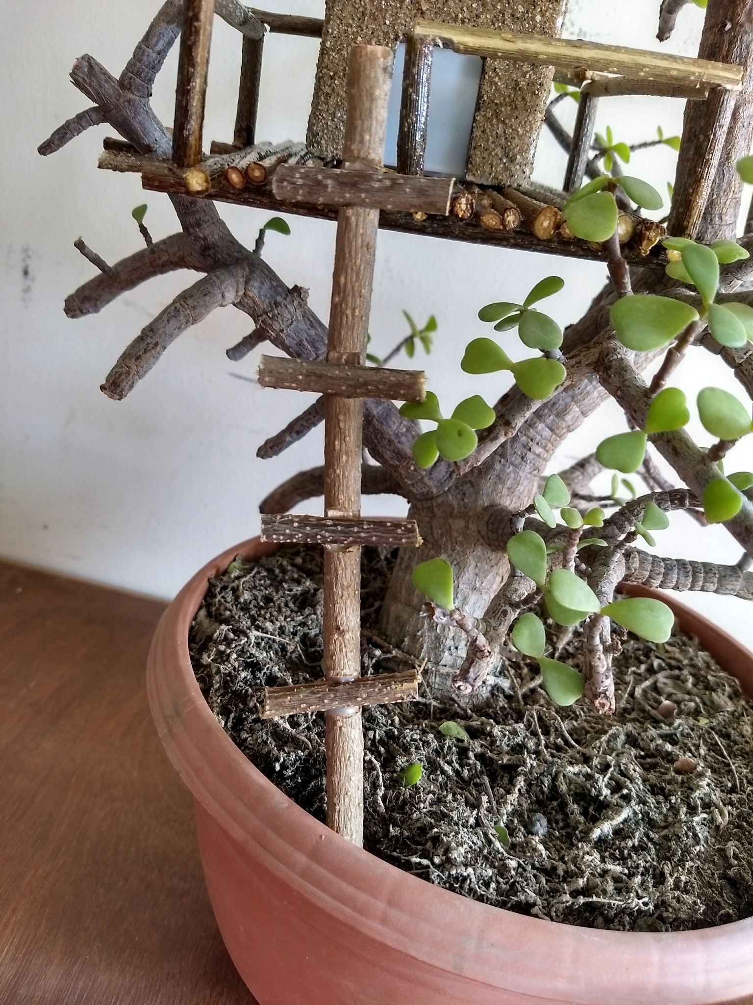 Bonsai Mini Lighted Rustic Tree House : 10 Steps (with Pictures ...
