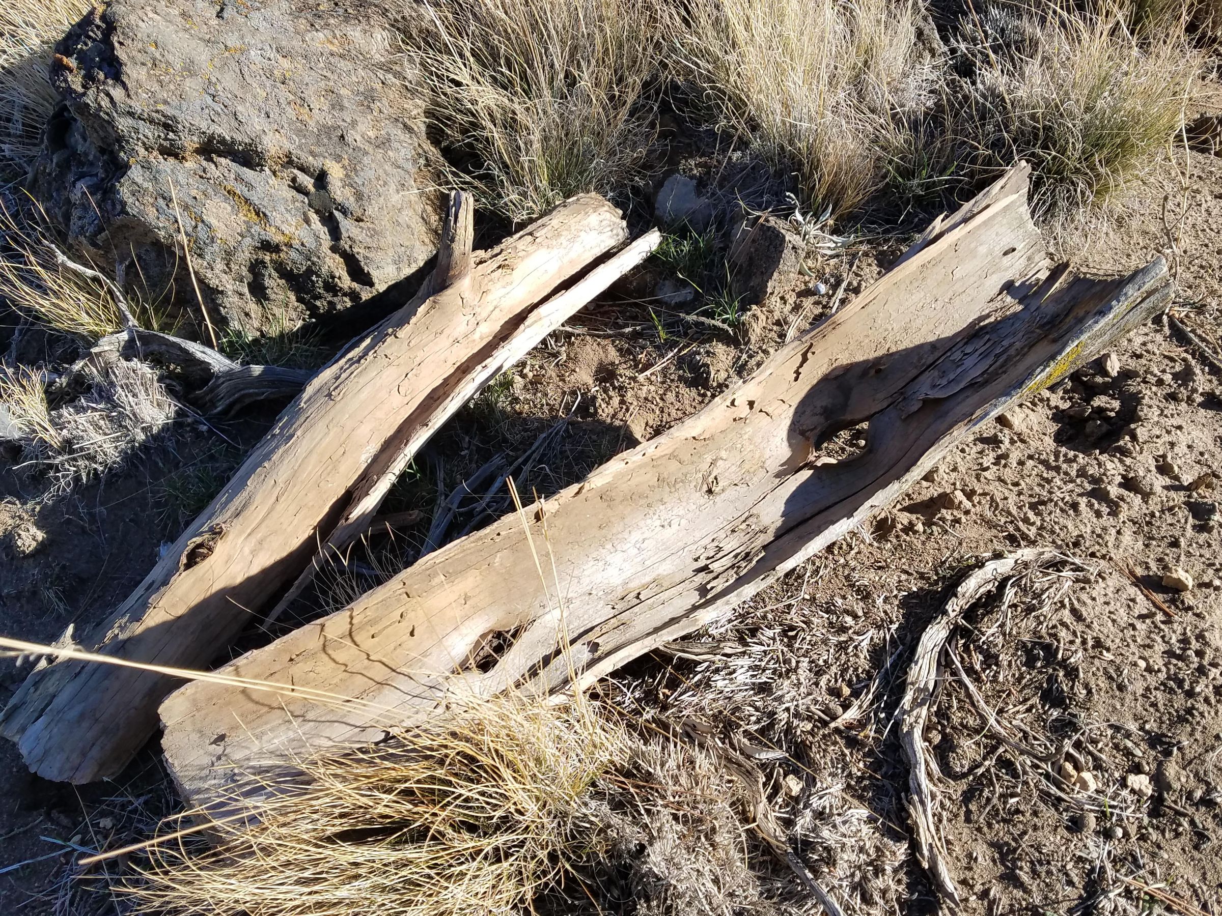 Hollow Log Hide It - Instructables