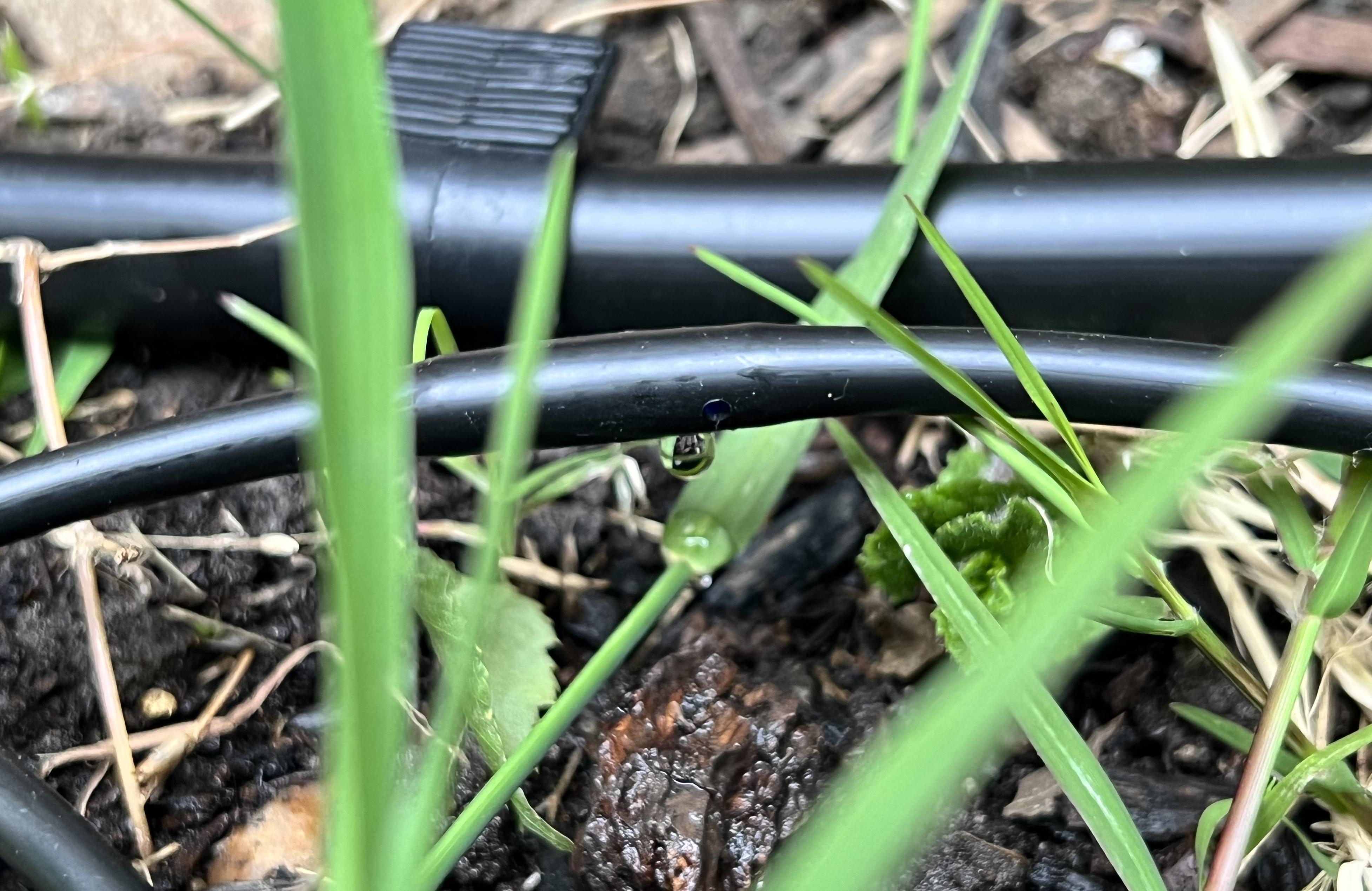 Automated Drip Irrigation System : 5 Steps - Instructables