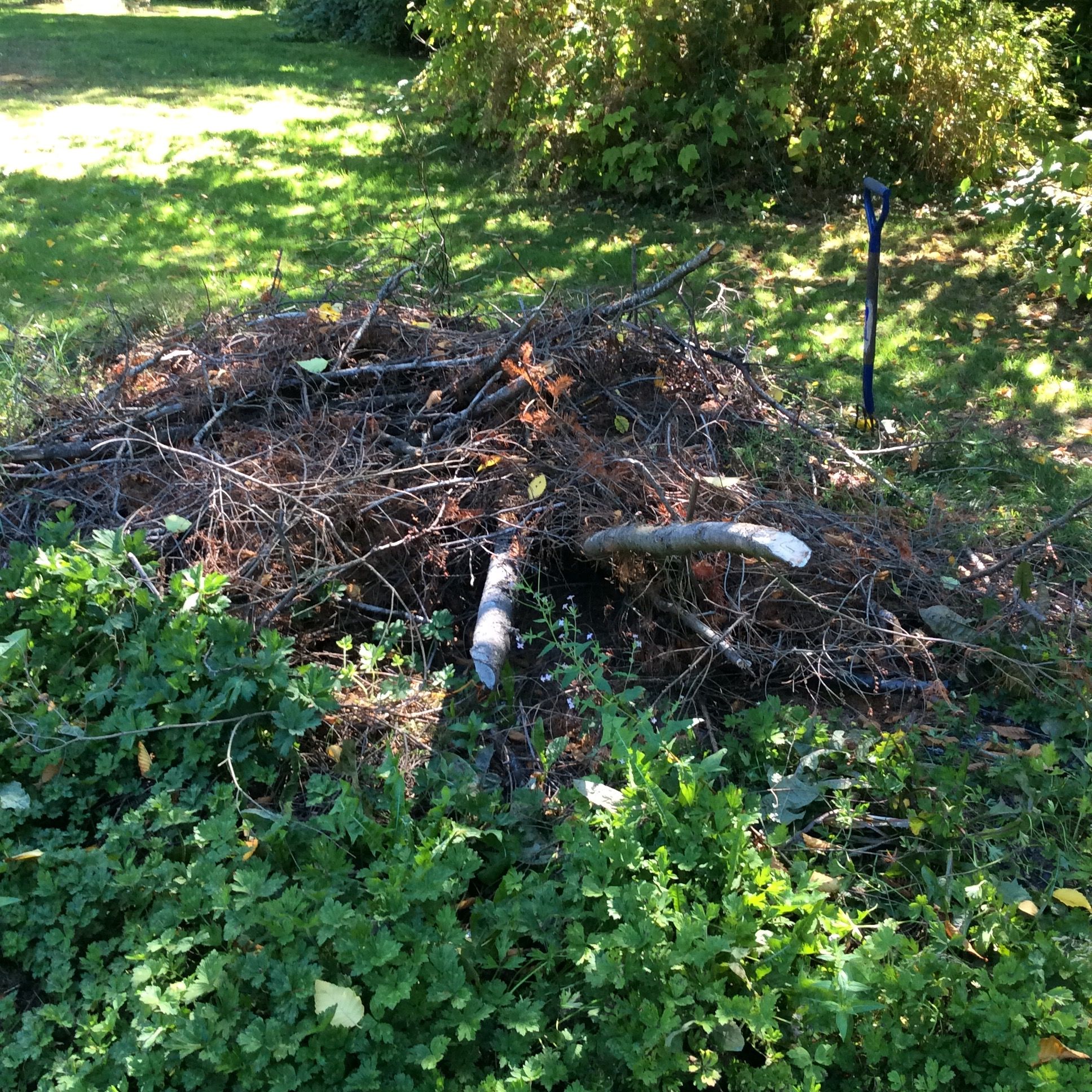 Multi Use Fort / Survival Shelter : 5 Steps - Instructables