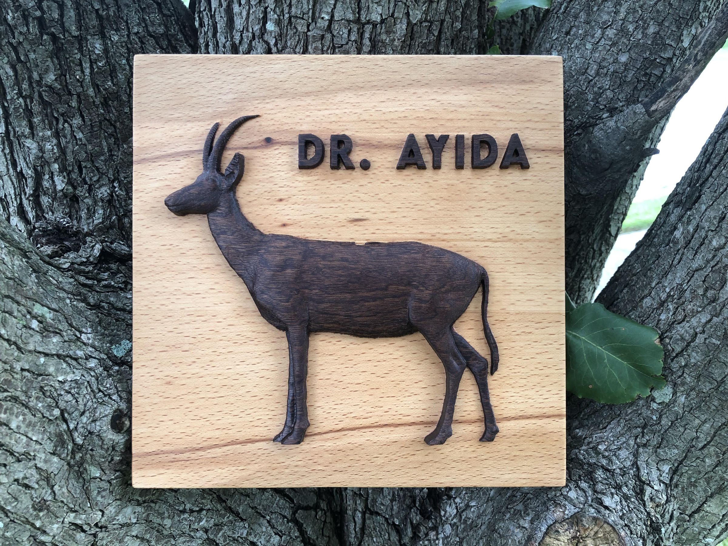 Gazelle Bas-Relief Teacher Gift : 7 Steps (with Pictures) - Instructables