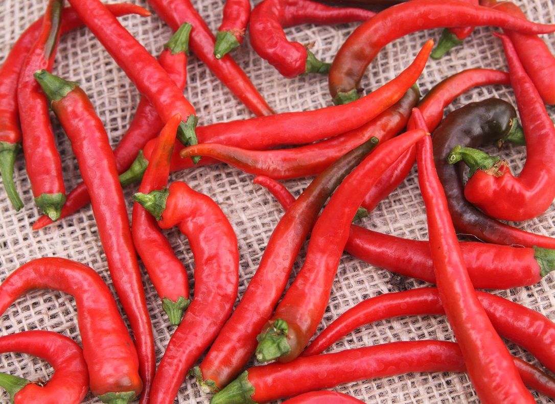 Very Hot Chilli Sauce : 8 Steps (with Pictures) - Instructables