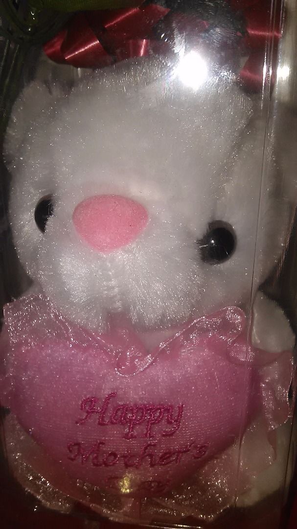 Build a Realistic Insect From Wire : 5 Steps (with Pictures ...