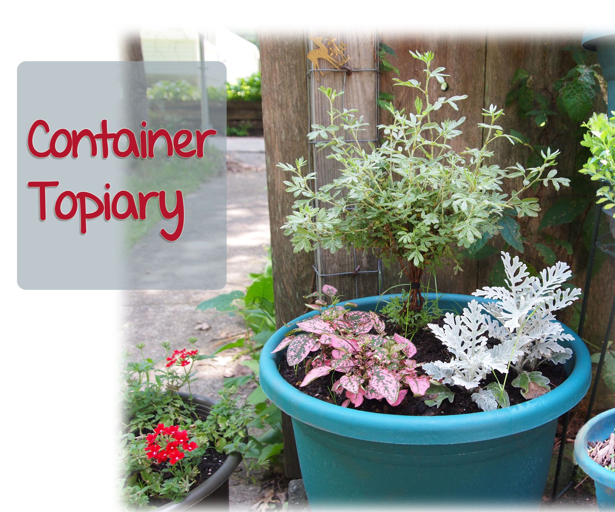 Container Topiary : 4 Steps - Instructables