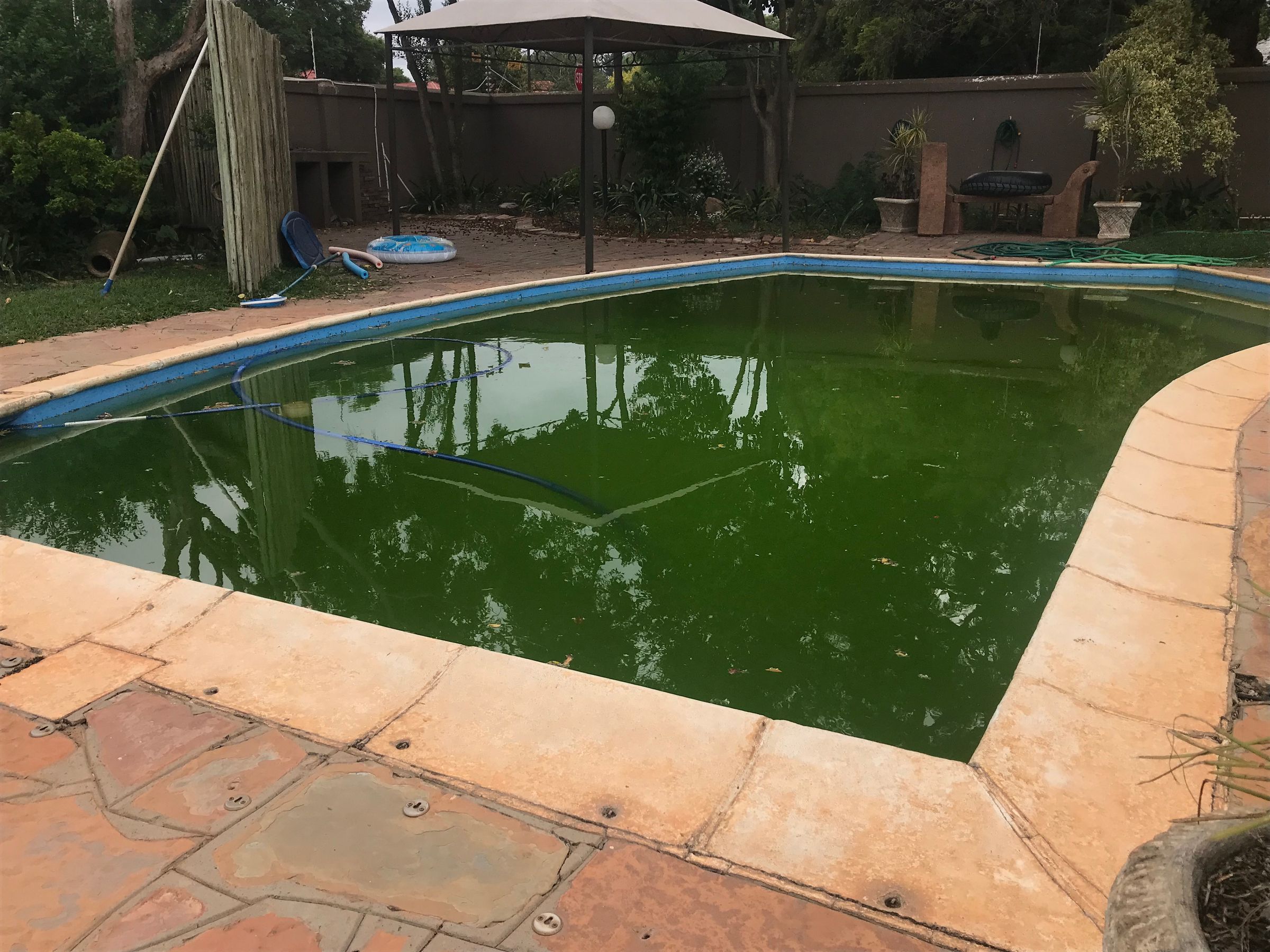 A Pool Story: Green to Clean : 9 Steps - Instructables