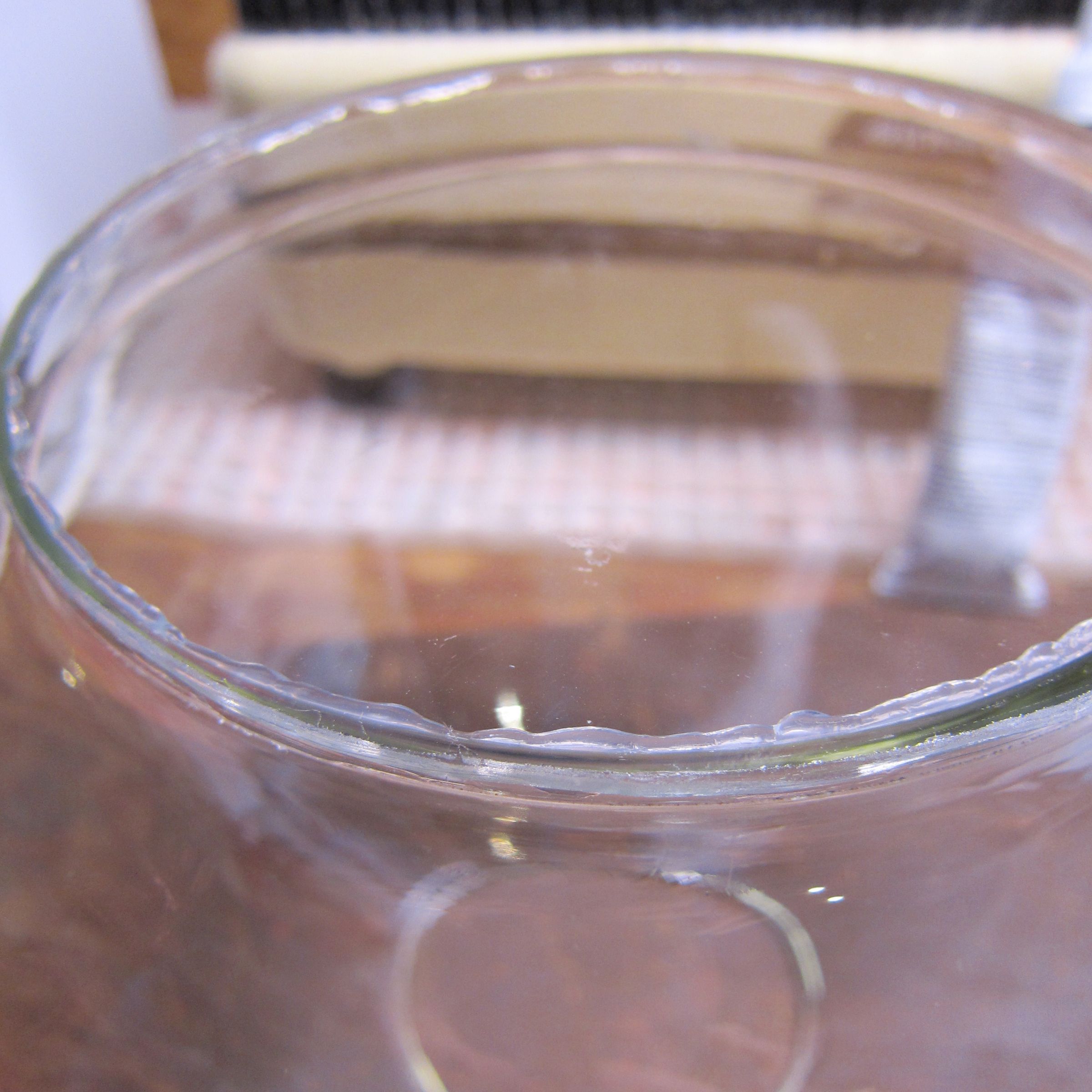 Gumball Machine Fish Tank : 4 Steps (with Pictures) - Instructables