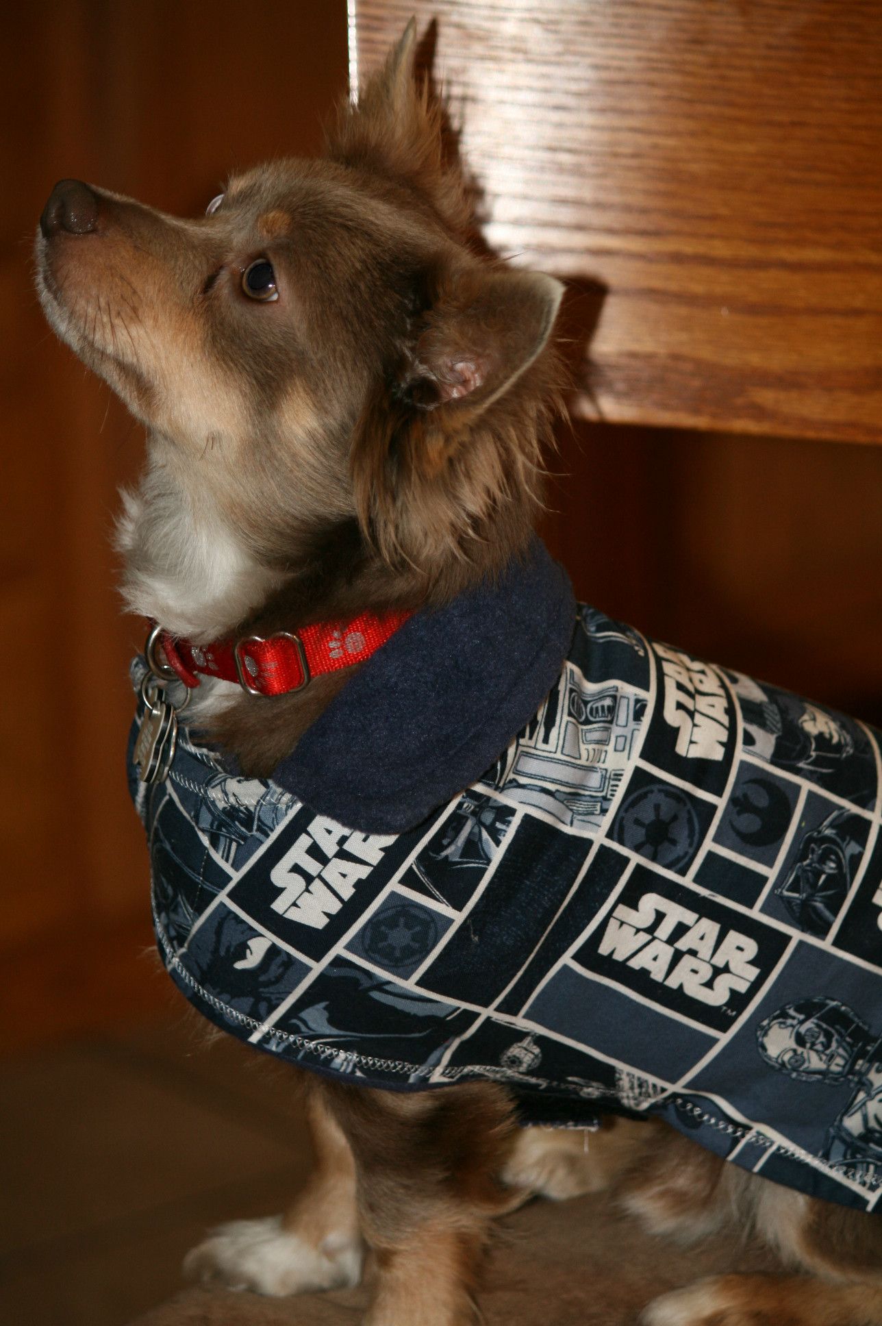 Reversible Dog Coat : 12 Steps (with Pictures) - Instructables
