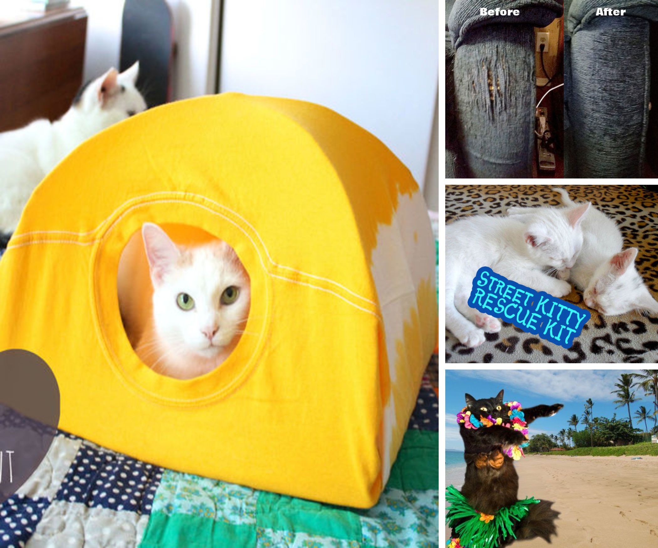 Kitty - Instructables