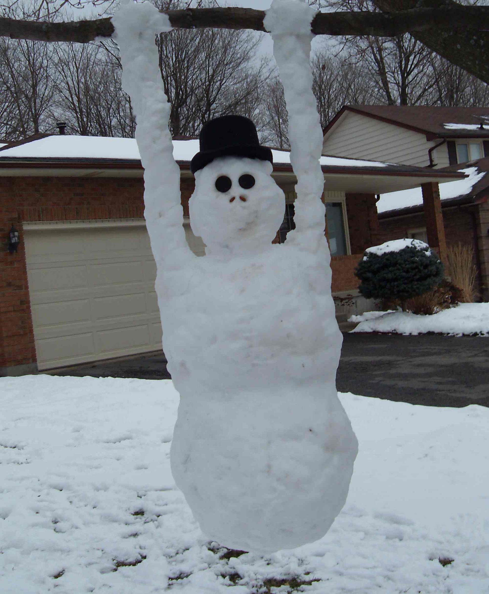 Snow Monkey! : 5 Steps - Instructables