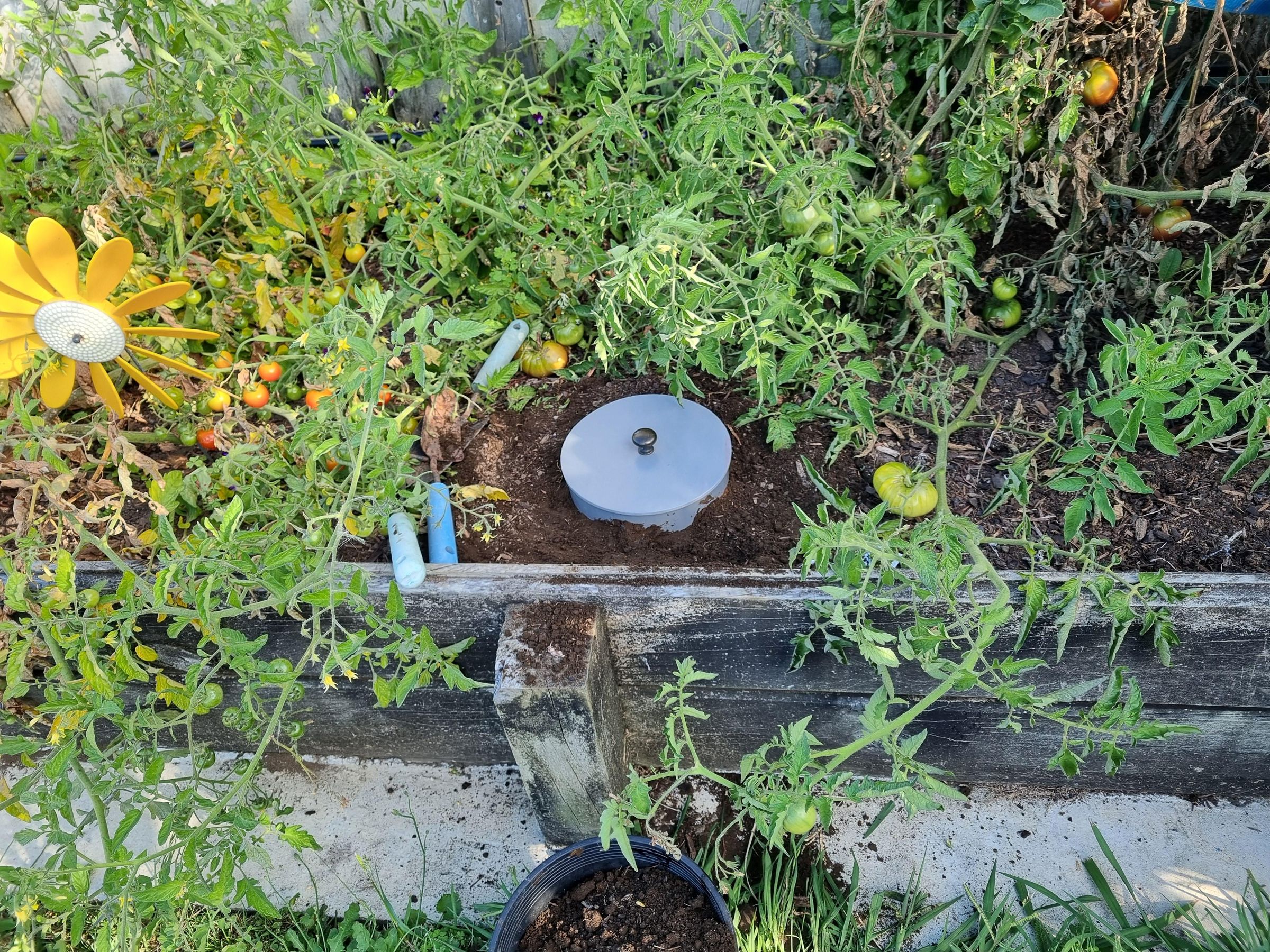 Worm Buffet : 10 Steps (with Pictures) - Instructables