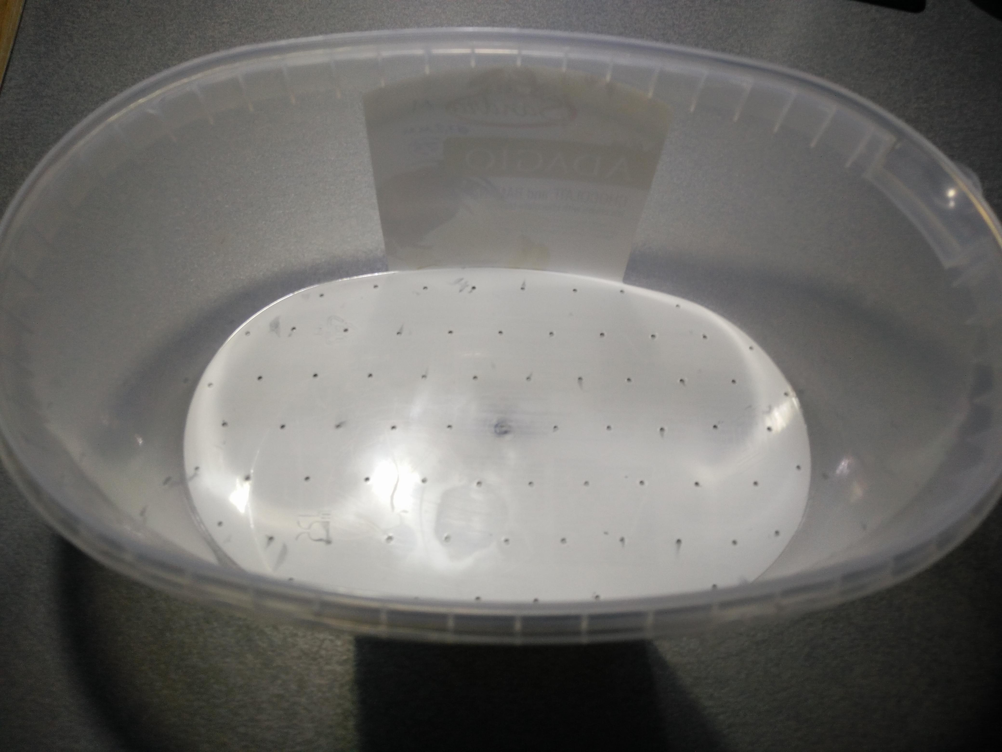 🌼 DIY Seedling Propagator From Recycled Plastic Container 🌼 : 12 Steps ...