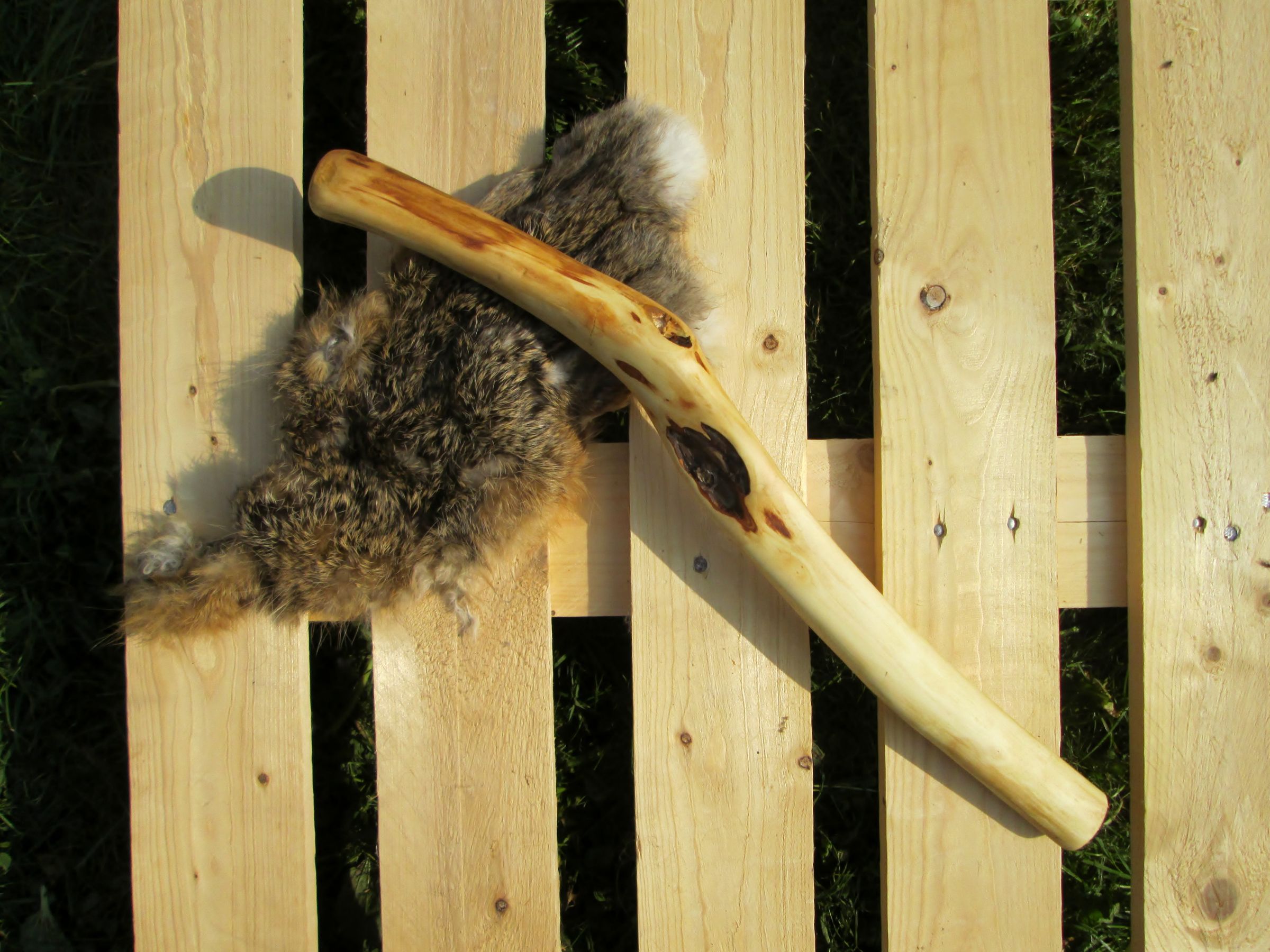 The Rabbit Stick Hunter : 4 Steps (with Pictures) - Instructables