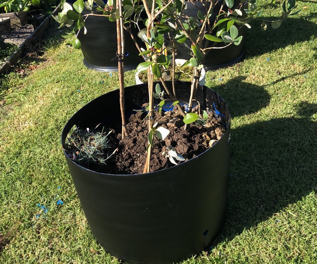 Portable Tree Planter : 4 Steps - Instructables