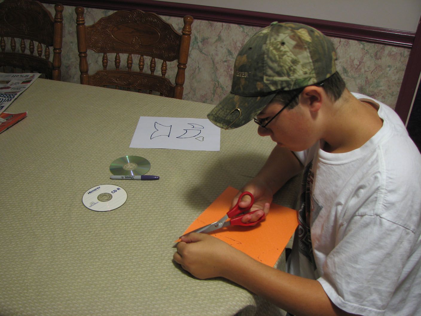 CD ROM Fish Craft : 8 Steps (with Pictures) - Instructables