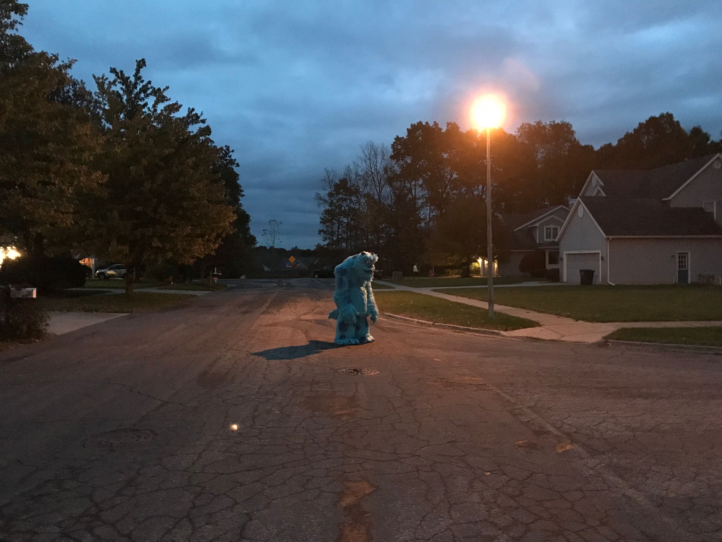 The Ultimate Sully Costume : 7 Steps (with Pictures) - Instructables