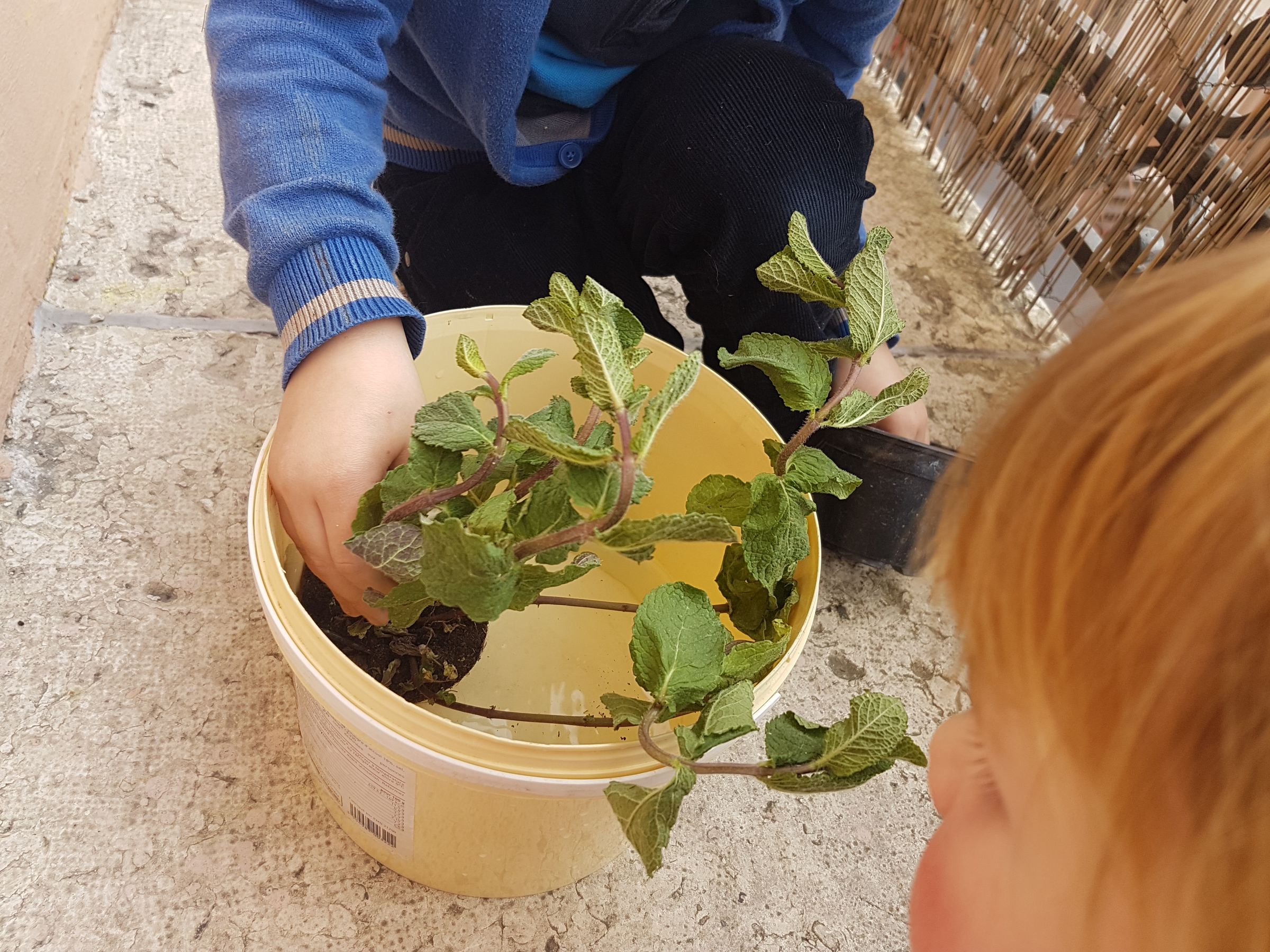 First Timer Hydroponics: the Raft System : 8 Steps (with Pictures ...