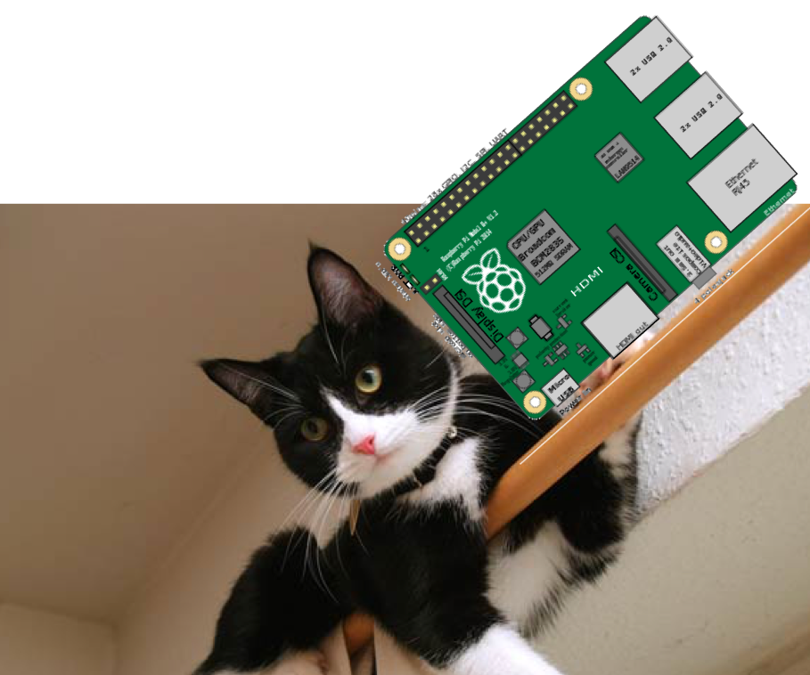 CAT-BOT : 9 Steps (with Pictures) - Instructables