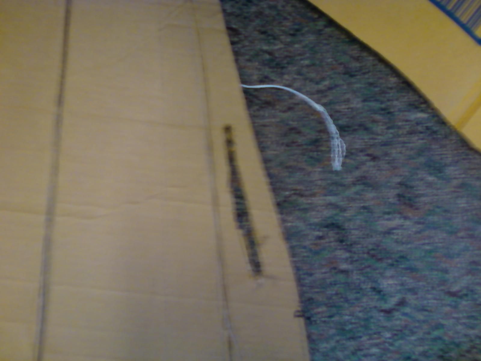 Fantastically Fun Flipper Costume : 7 Steps - Instructables