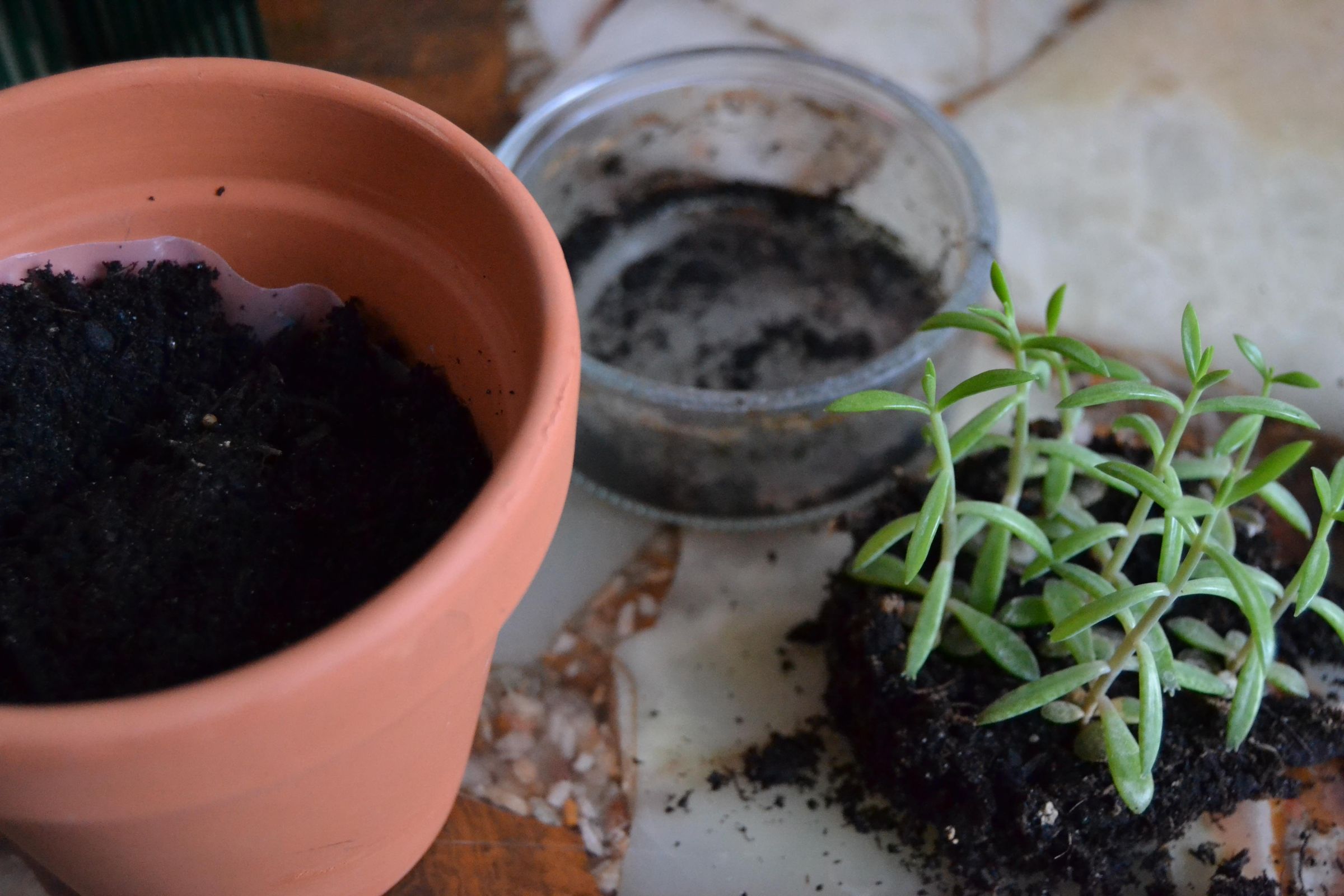 Laser Cut Planters : 7 Steps (with Pictures) - Instructables