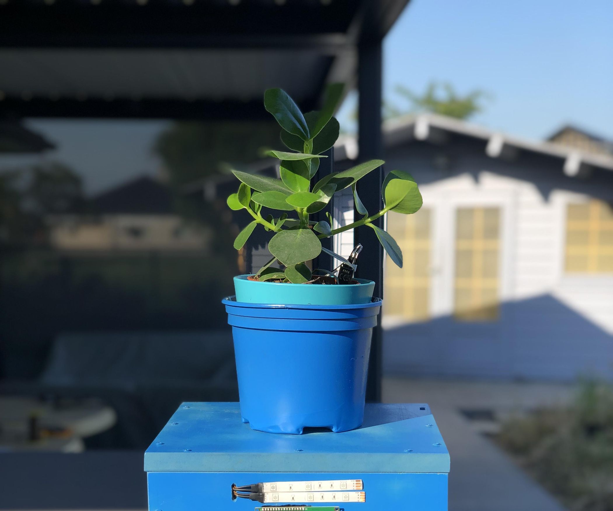 Smart Flowerpot : 5 Steps - Instructables