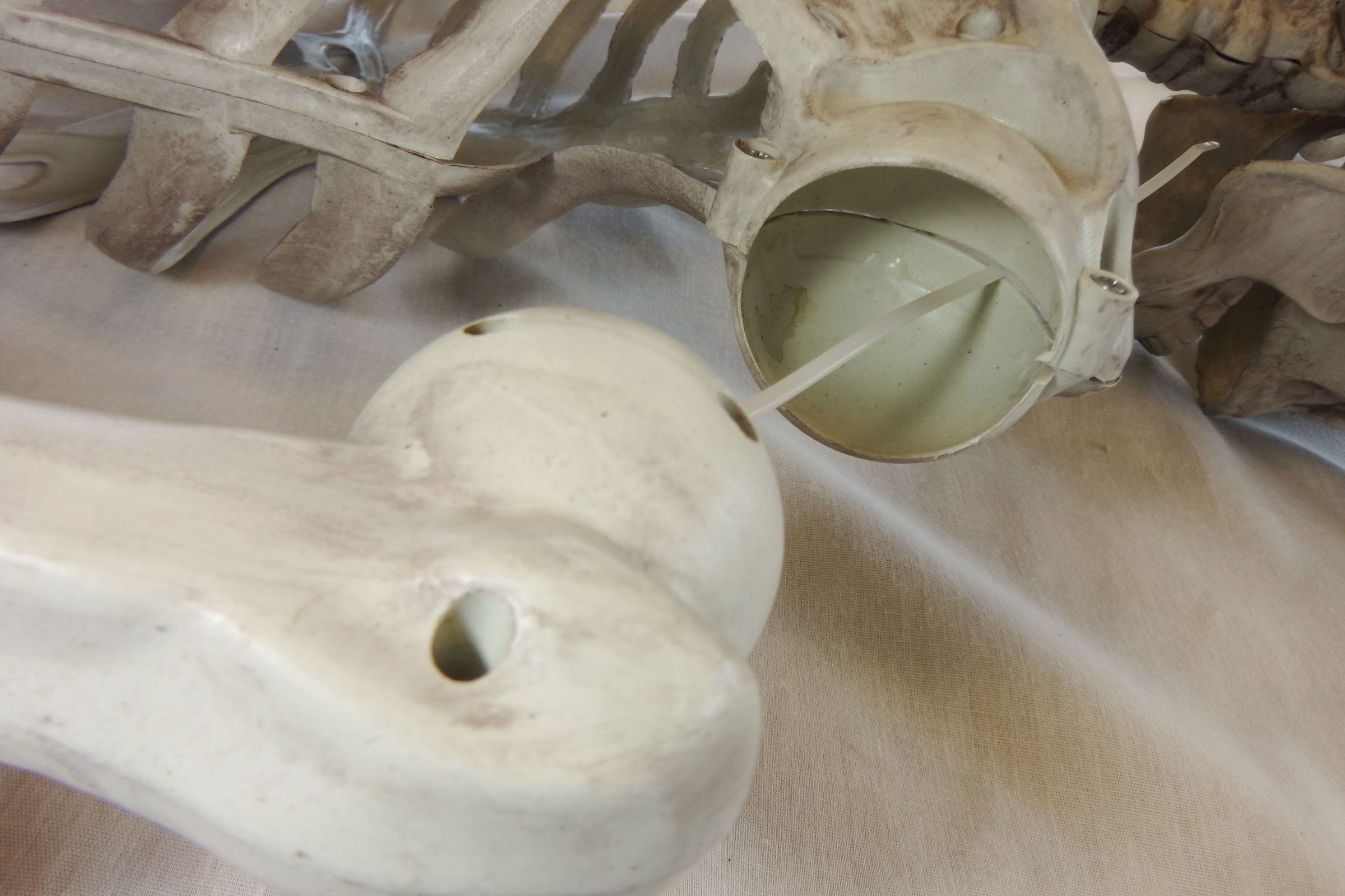 Hack and Repair Plastic Halloween Skeletons : 9 Steps - Instructables