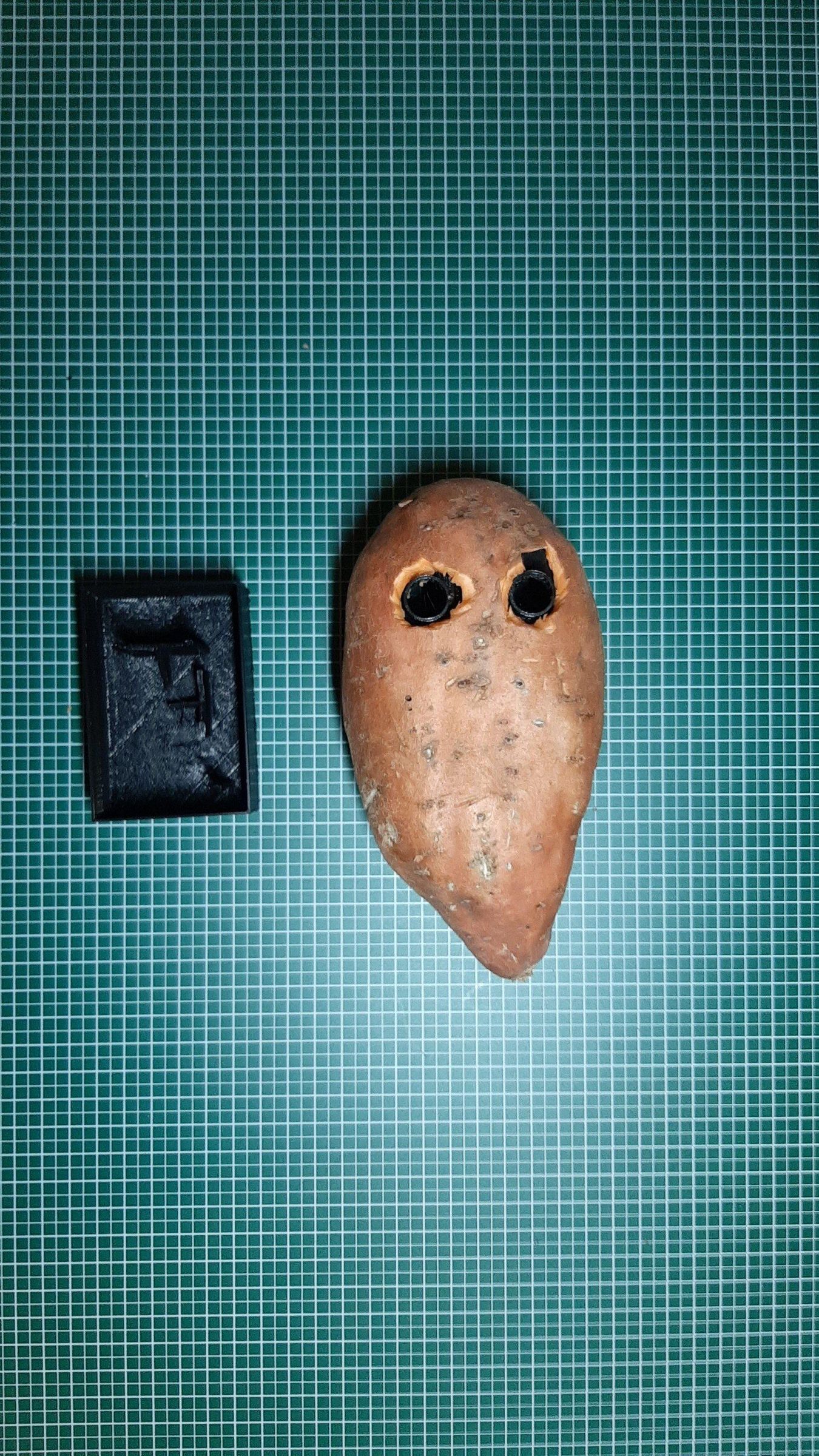 Screaming Potato : 16 Steps (with Pictures) - Instructables