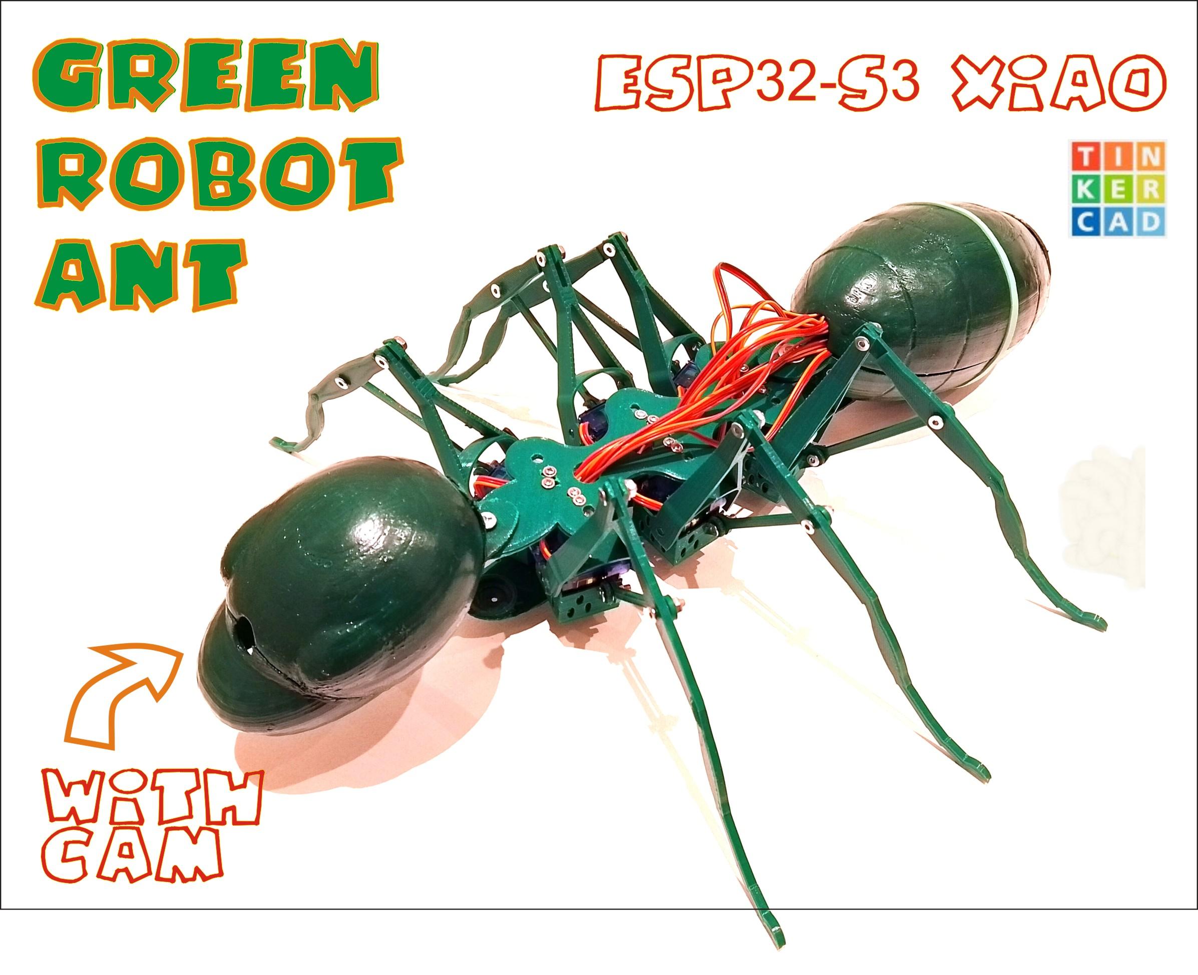 Green Robot Ant : 14 Steps (with Pictures) - Instructables