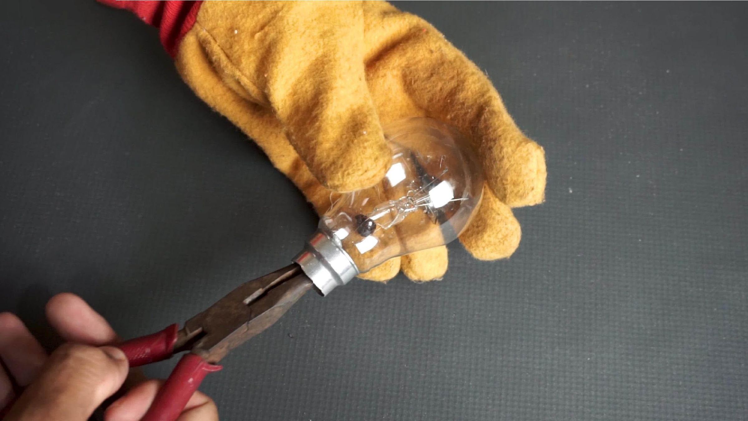 How to Make a Light Bulb Terrarium : 9 Steps (with Pictures ...