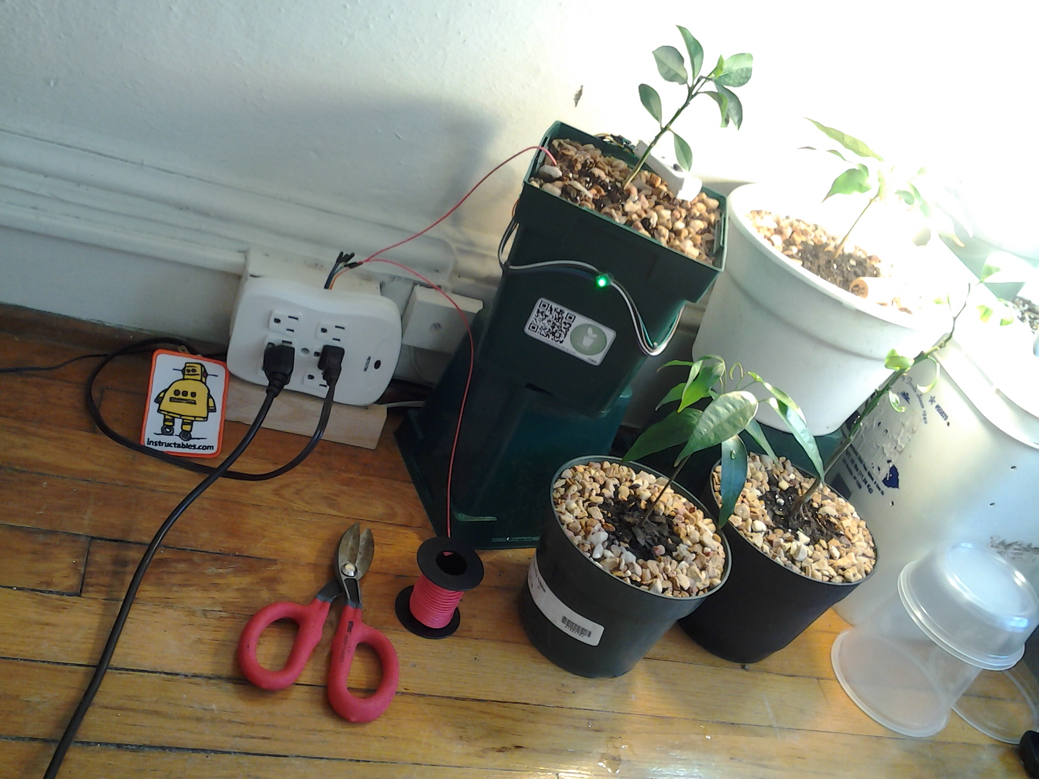 Plant Grounding Hack : 3 Steps - Instructables