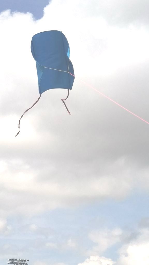 Sled Kites