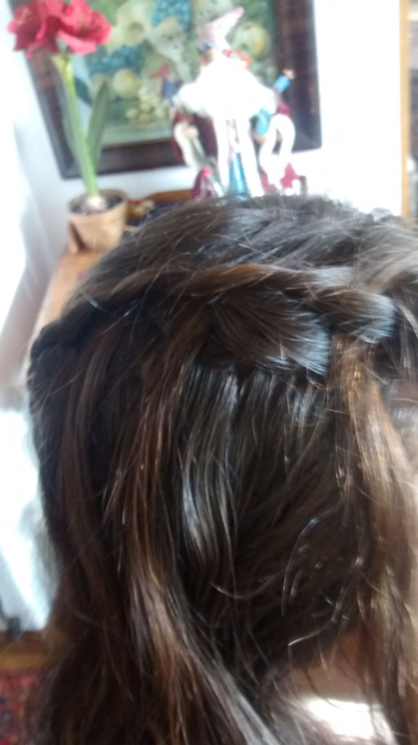 Waterfall Braid : 5 Steps (with Pictures) - Instructables