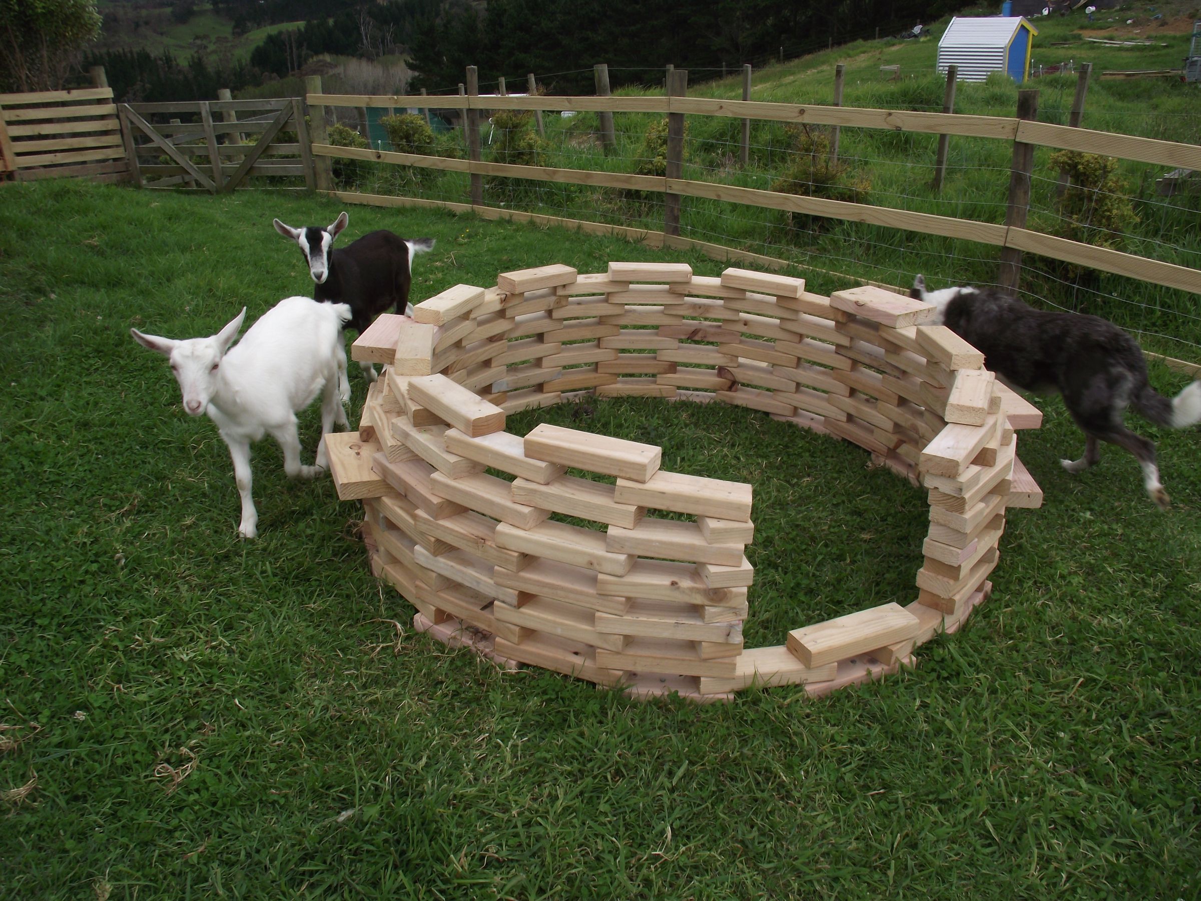 Goat Climbing Structures