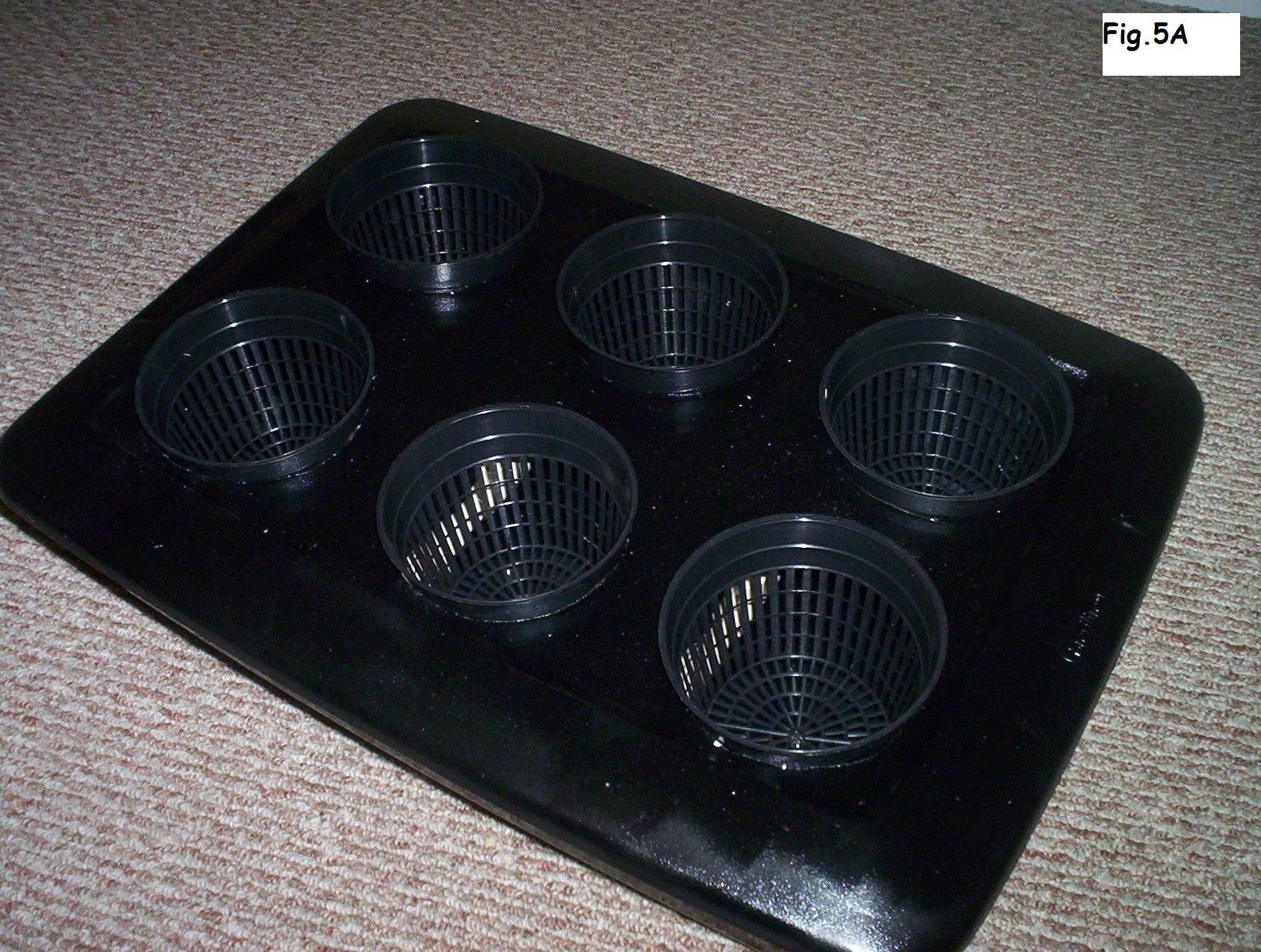 My Indoor DWC Hydroponics System : 10 Steps (with Pictures) - Instructables