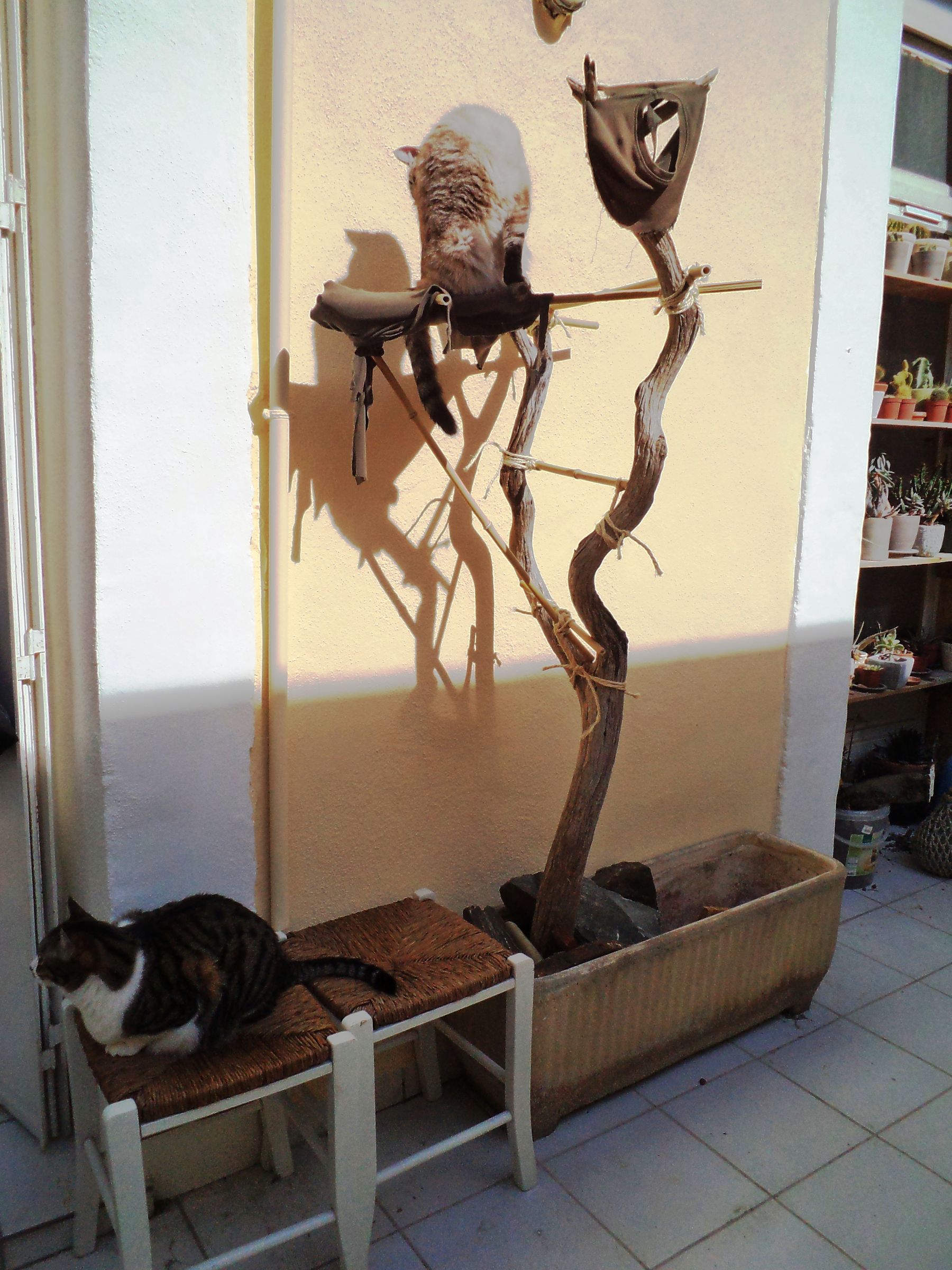 The Survivalist's Cat Tree : 3 Steps (with Pictures) - Instructables