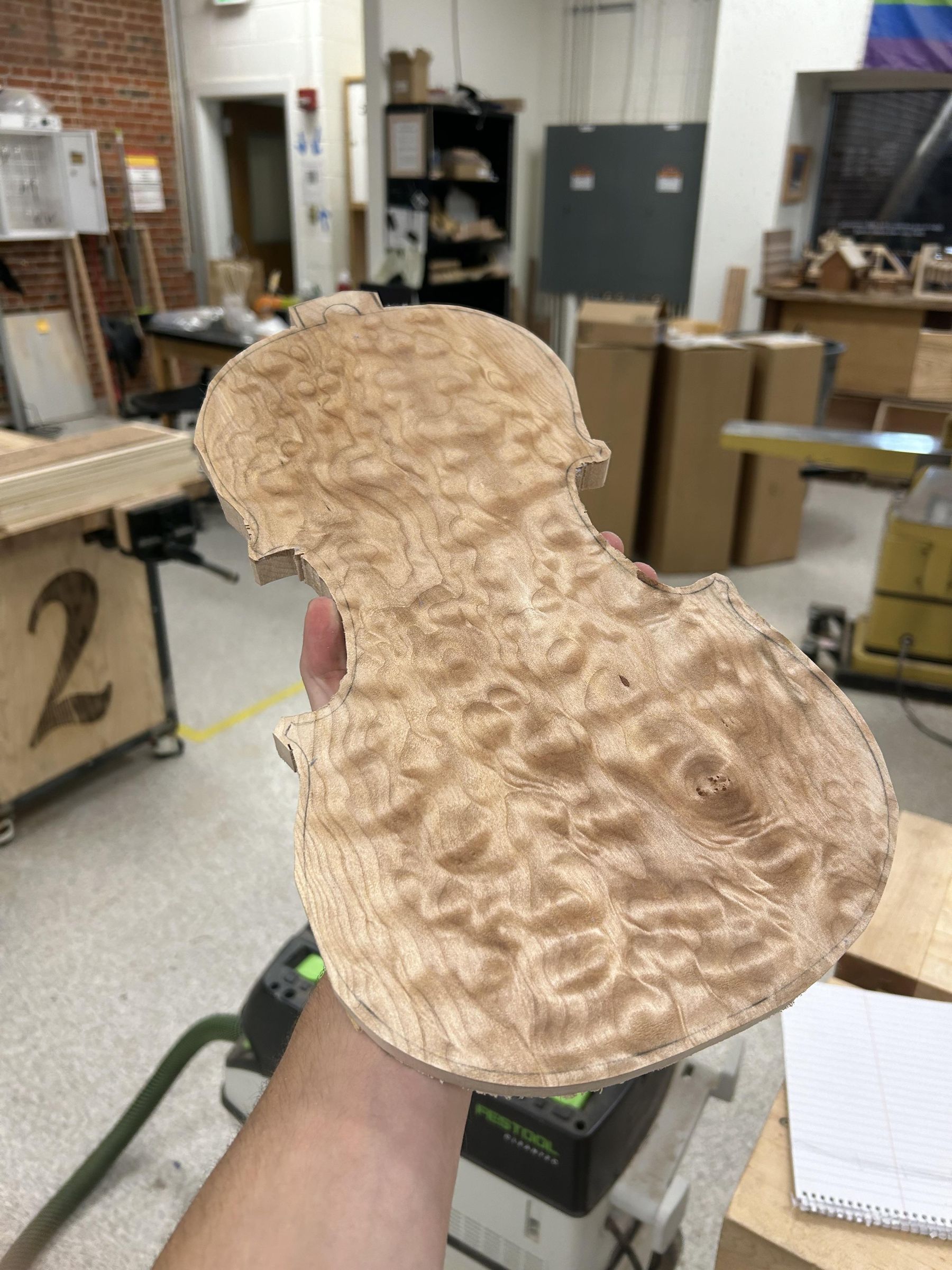 Building a Violin From Scratch Using Hand Tools : 35 Steps (with ...