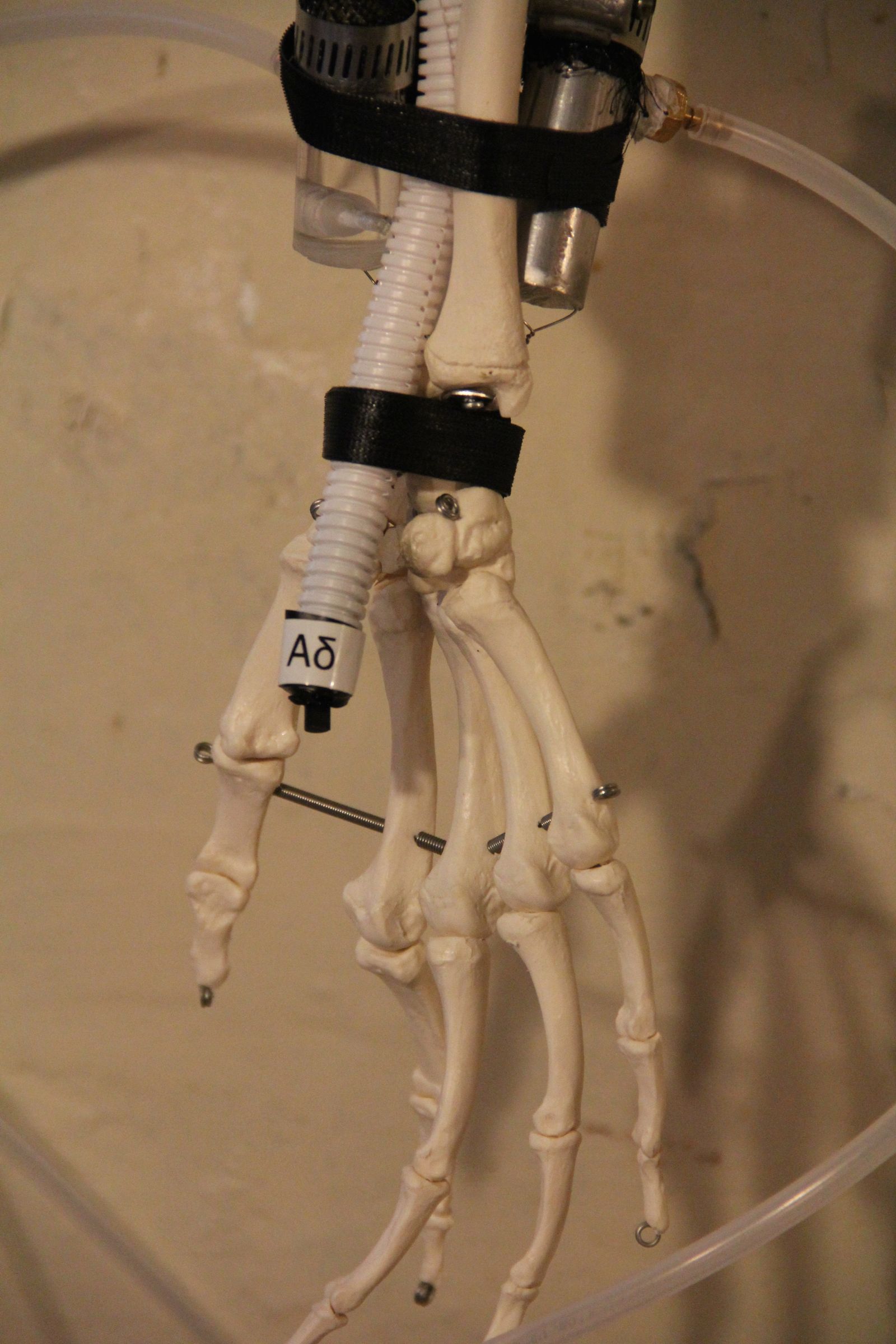 Arduino Mechanotronic Human Pain Reflex : 6 Steps (with Pictures ...