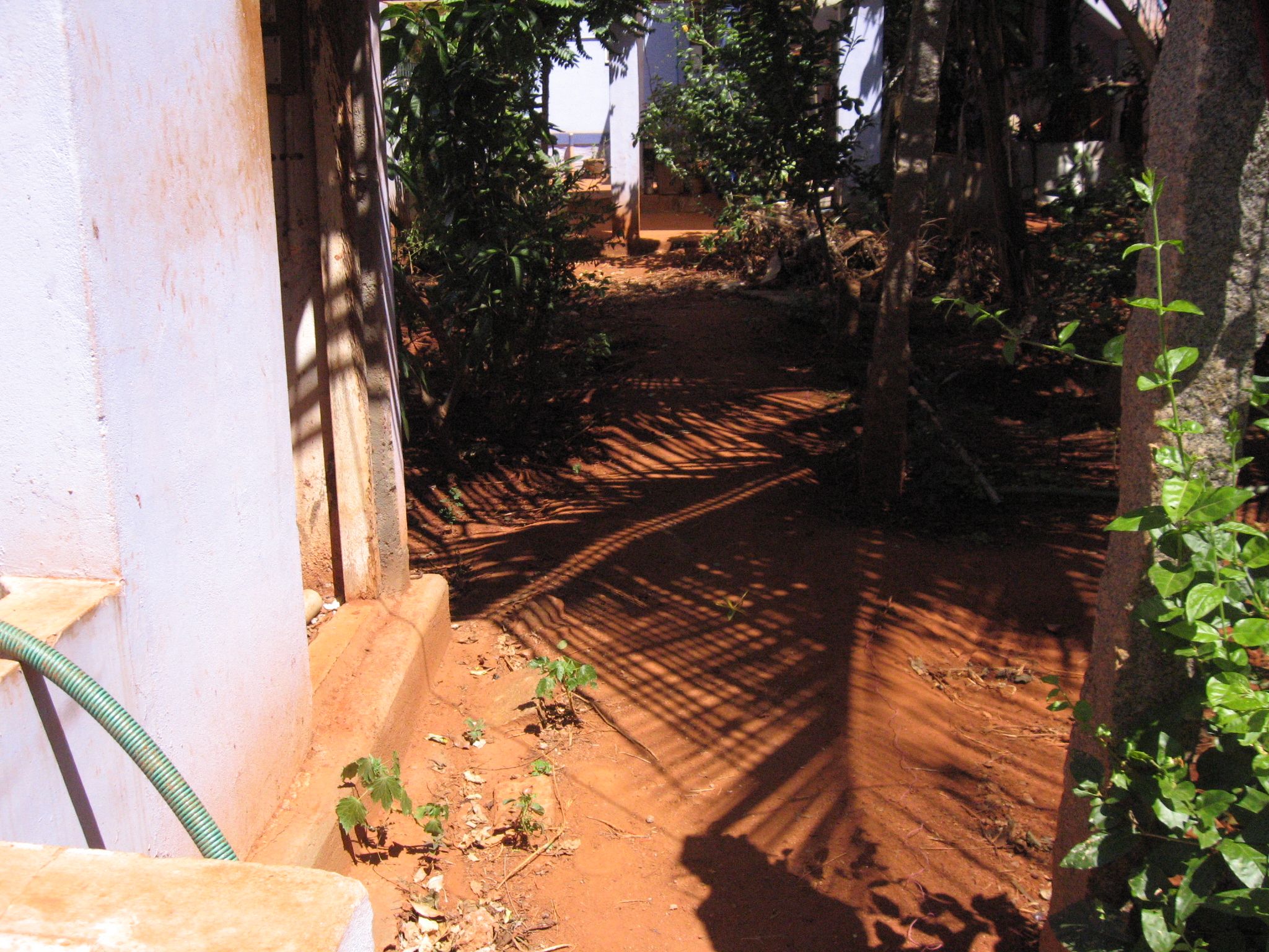 Home Improvement : Constructing a Paved Footpath in the Kitchen Garden ...