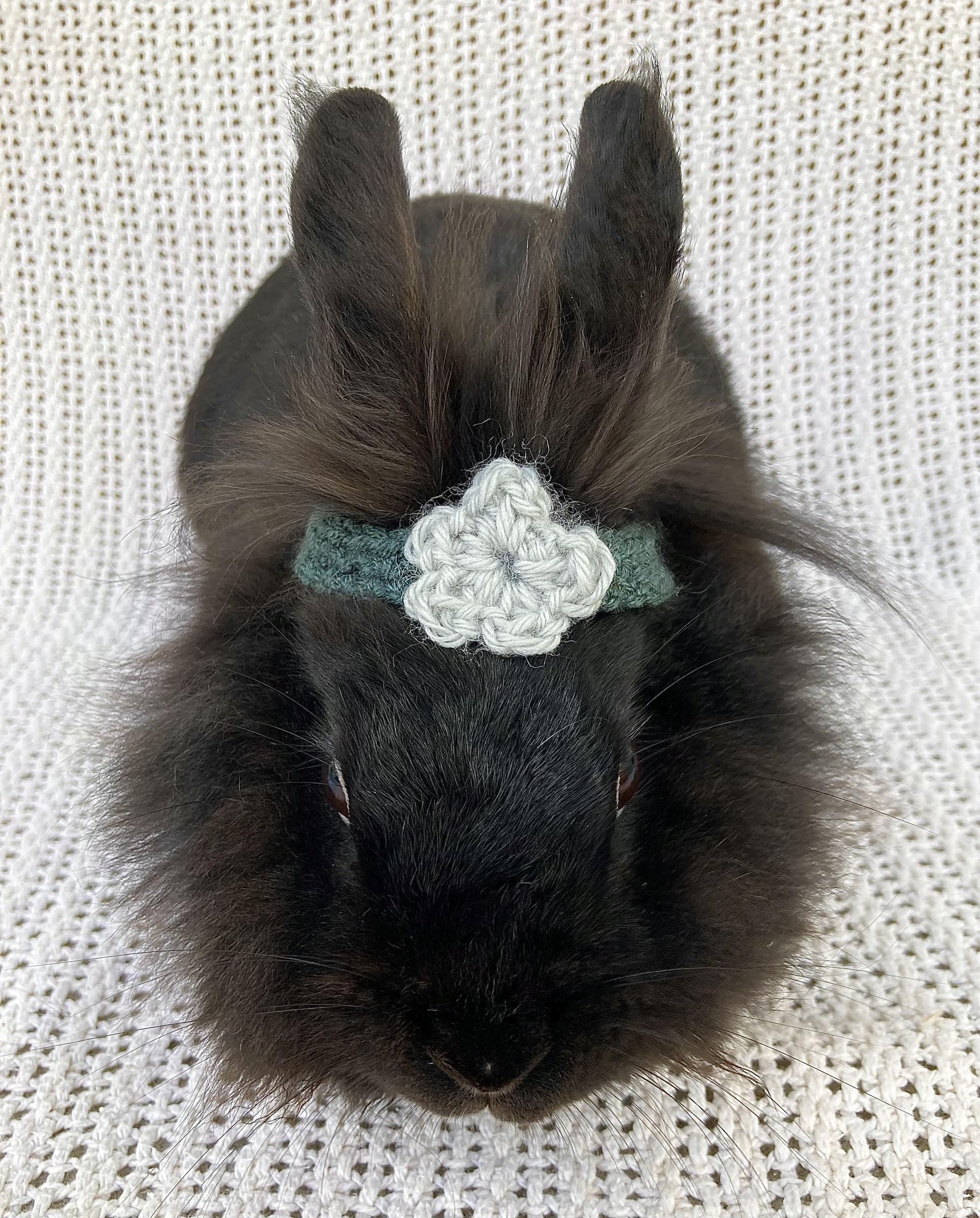 A Basic Guide to Bunny Hats : 5 Steps (with Pictures) - Instructables