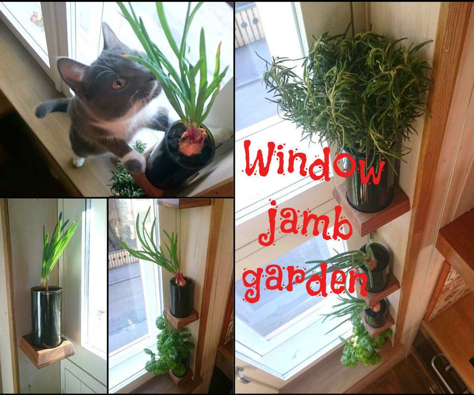 Window Jamb Garden : 6 Steps (with Pictures) - Instructables