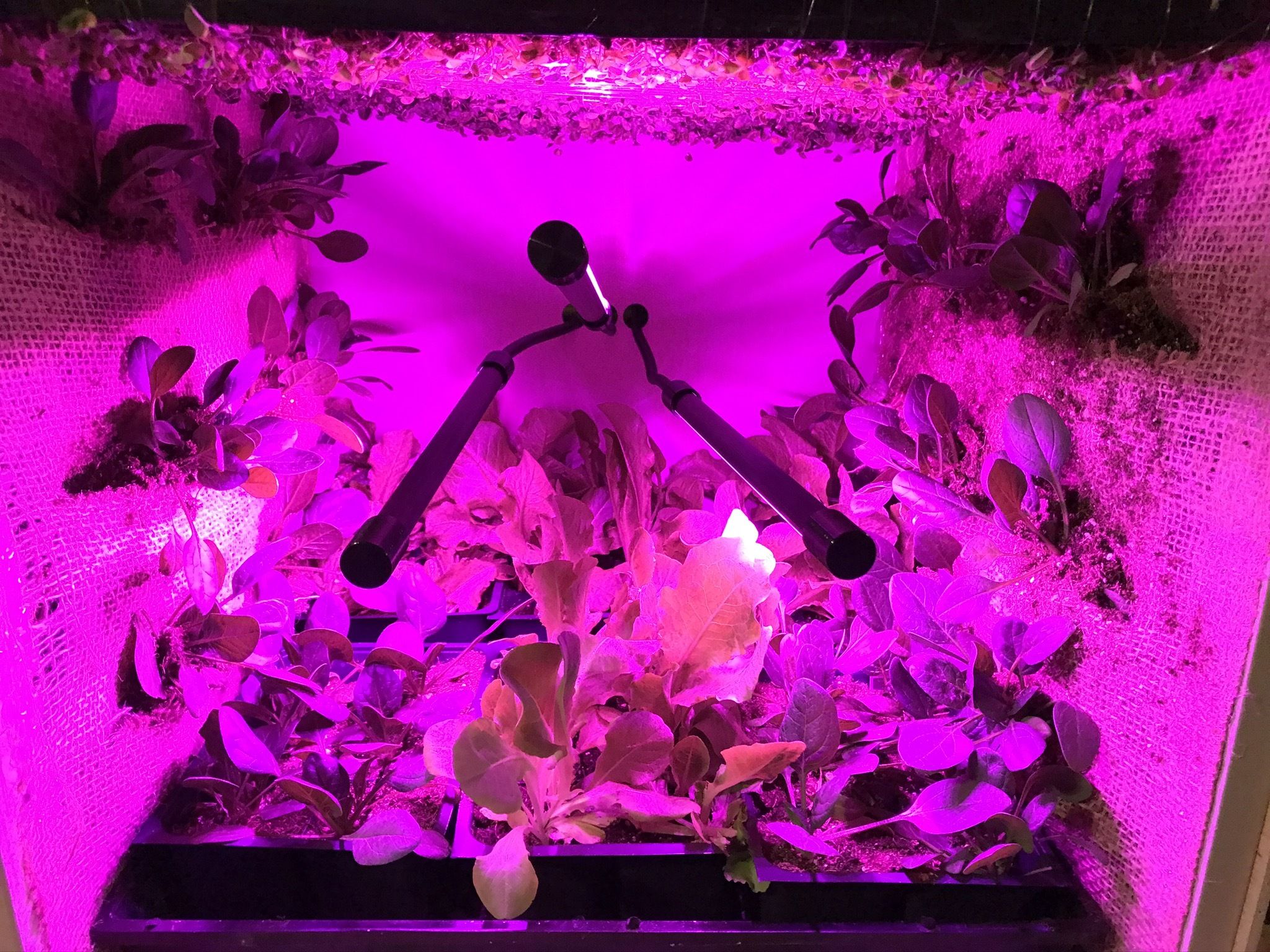 Zero Gravity Garden -Grow Beyond Earth : 6 Steps - Instructables